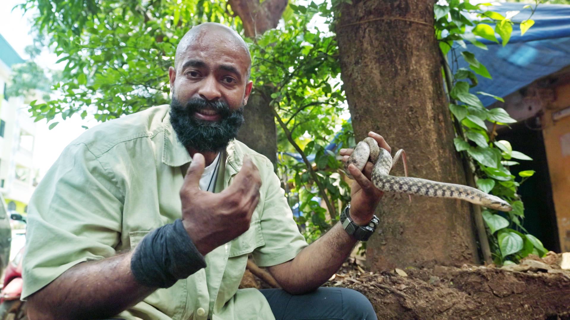Watch Snakes SOS: Goa's Wildest Episode 9 on JioHotstar