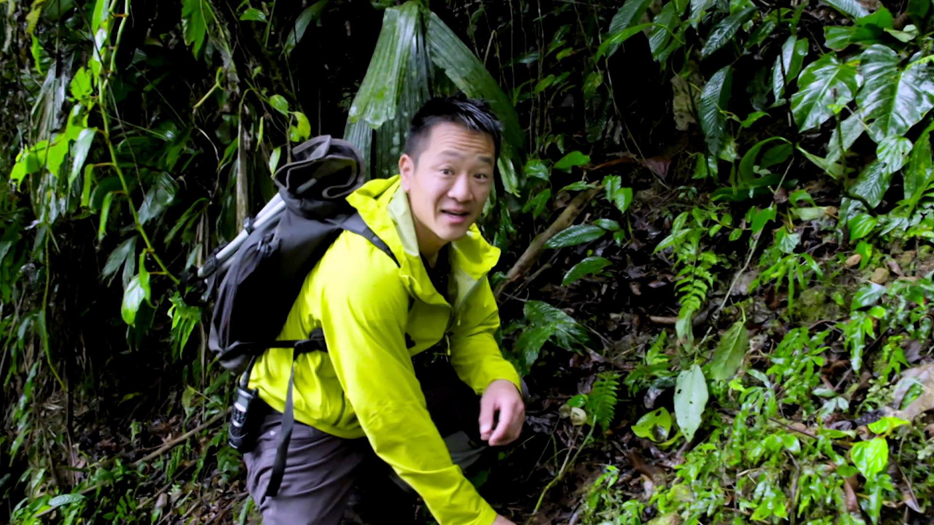 Watch Lost Cities With Albert Lin S1 Episode 2 on Disney+ Hotstar