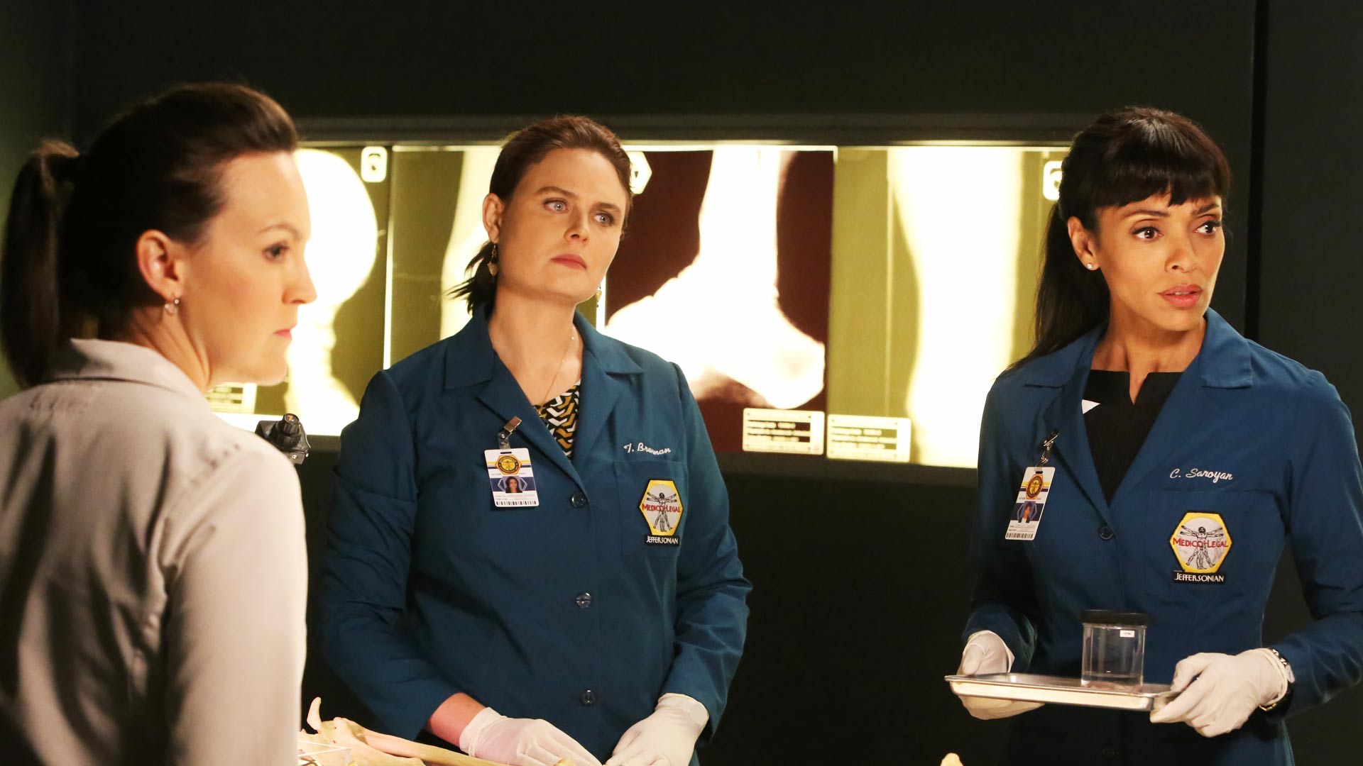 Stream The Brain in the Bot Season 12 Episode 2 – The Brain in the Bot ...