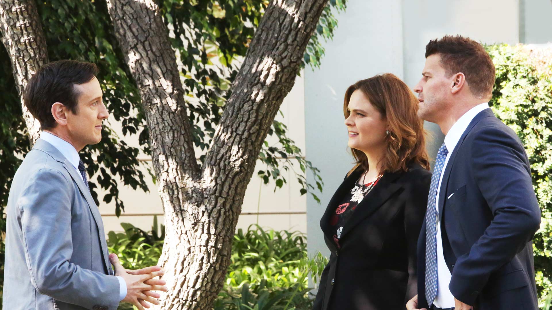 รับชม The New Tricks in the Old Dogs ซีซัน 12 ตอน 3 – The New Tricks in ...