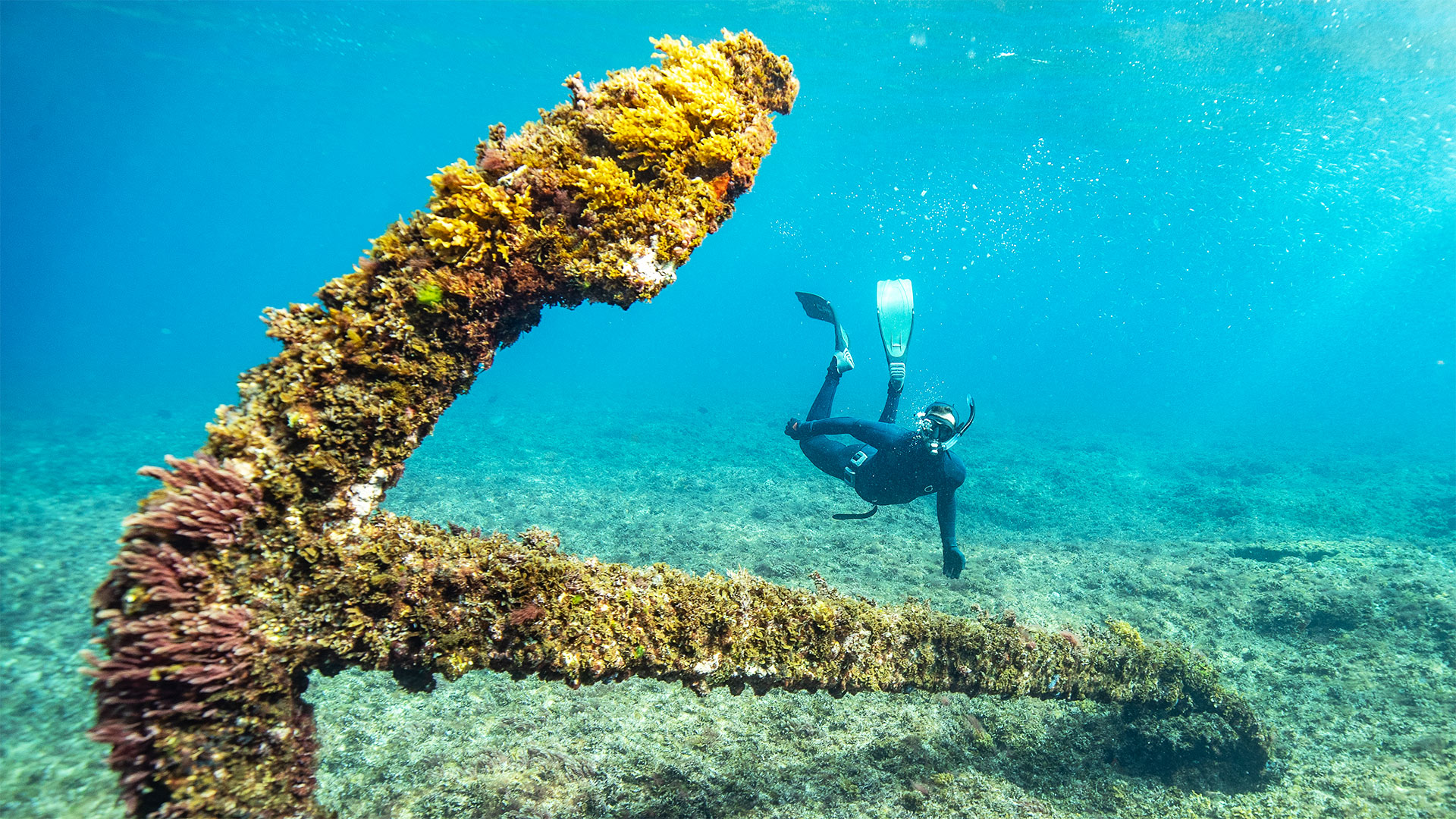 Watch Shipwreck Hunters Australia Episode 3 On Jiohotstar