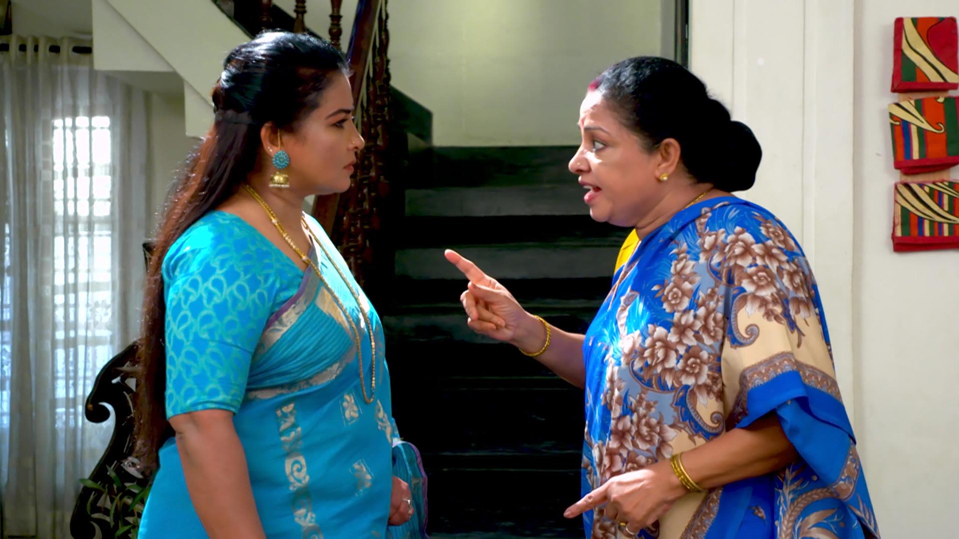 Watch Palunku S1 Episode 111 on JioHotstar