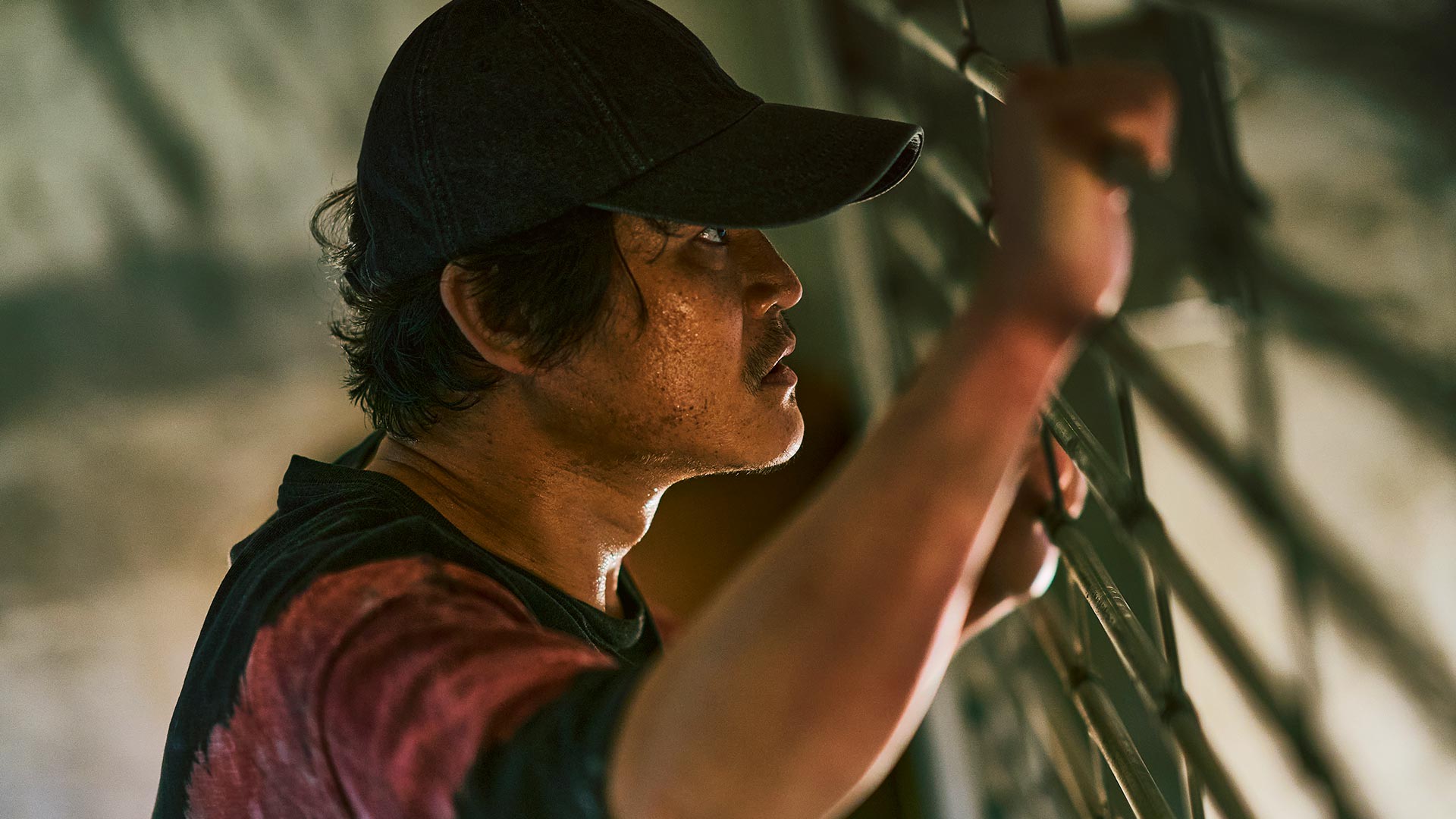 Watch grid All Episodes | Watcho