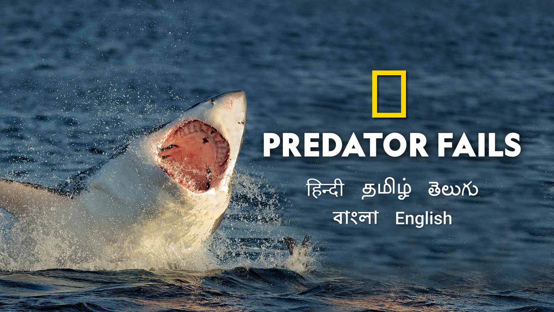 Stream predator-fails TV Show Online | Watcho