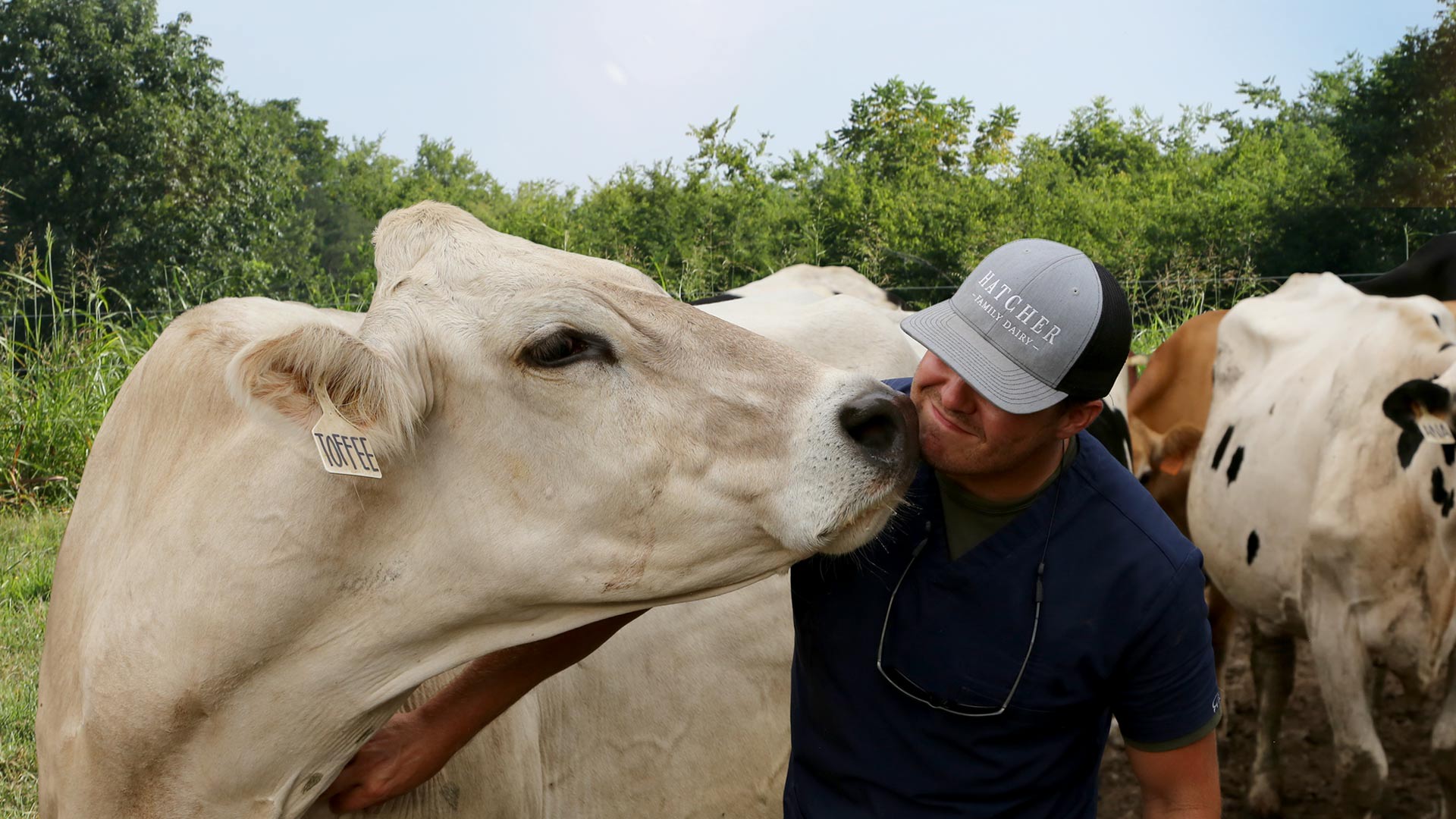 The Hatcher Family Dairy - Disney+