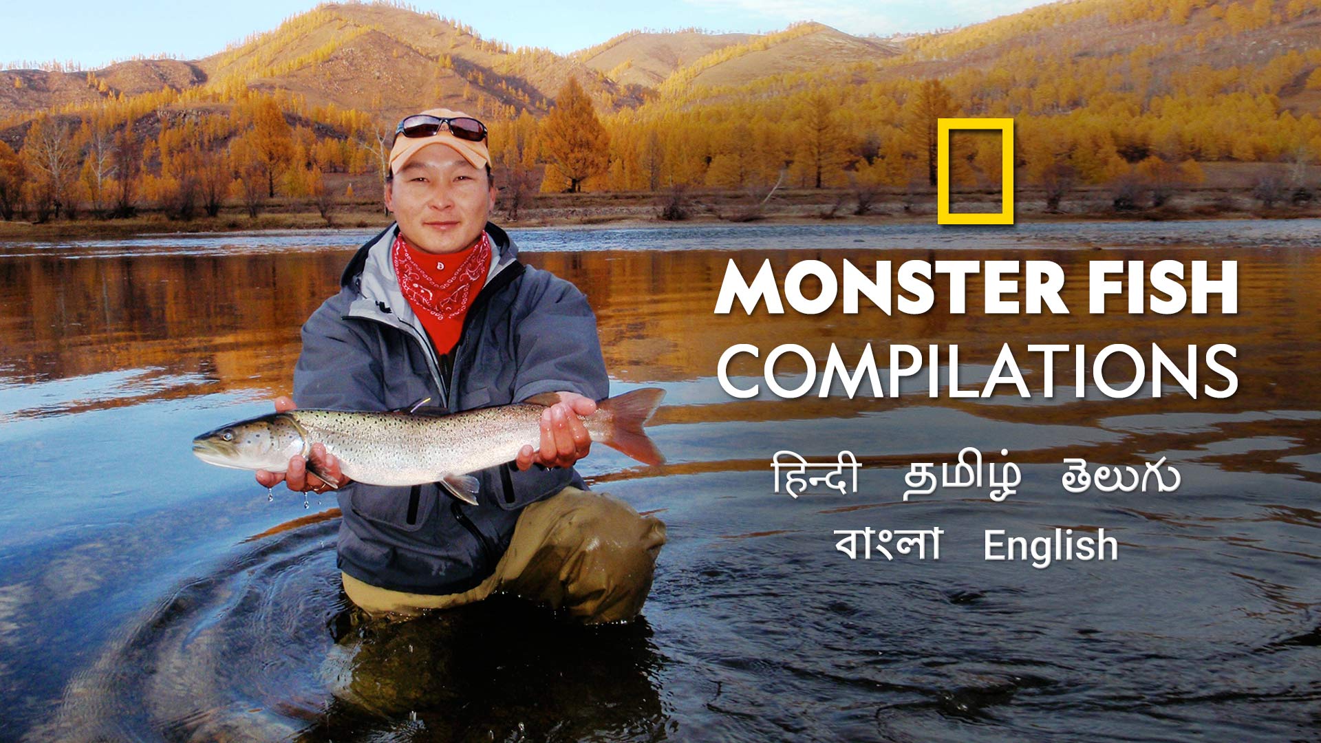 Stream monster-fish-compilations TV Show Online | Watcho