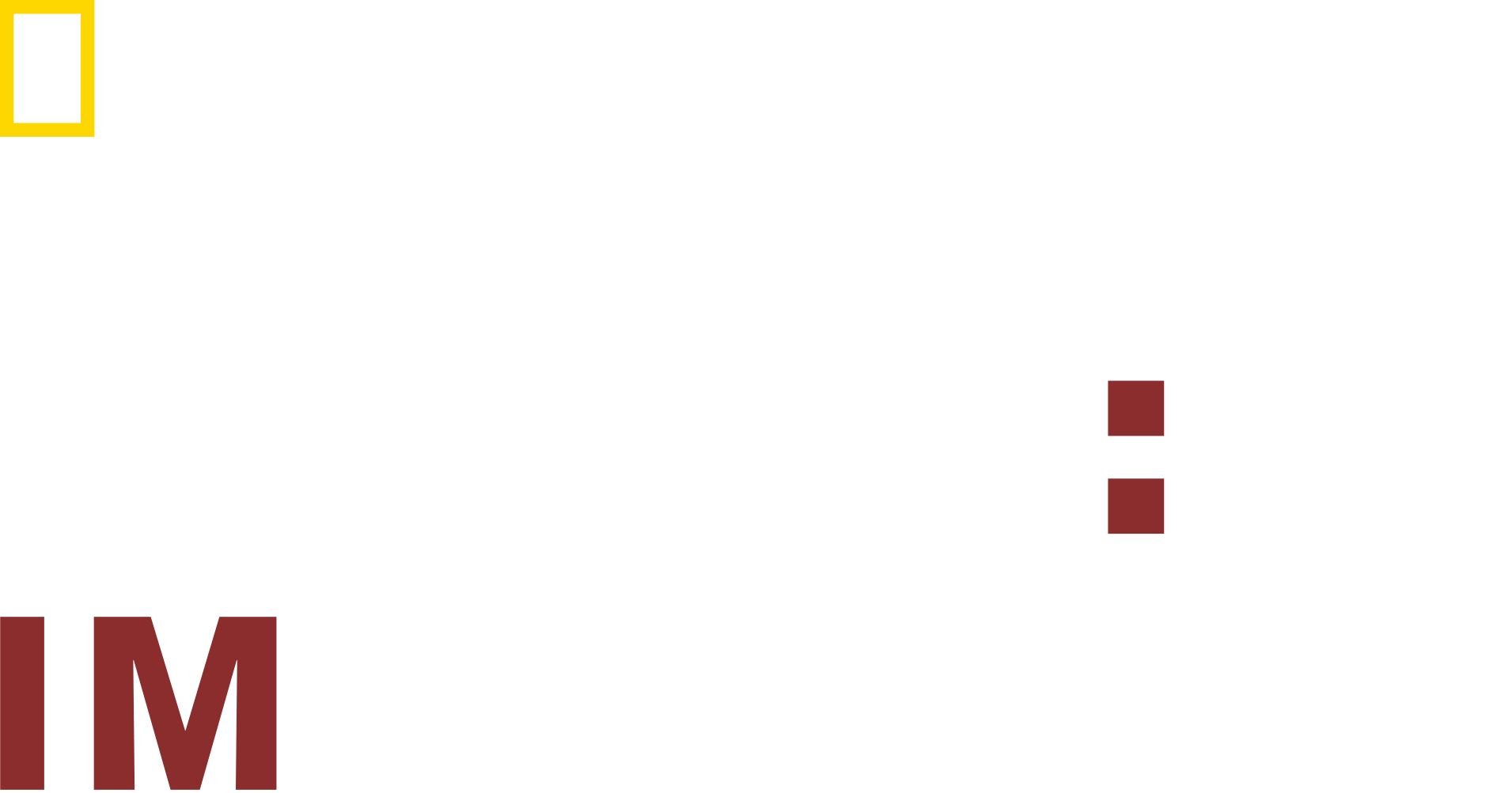 Dog Impossible Disney 