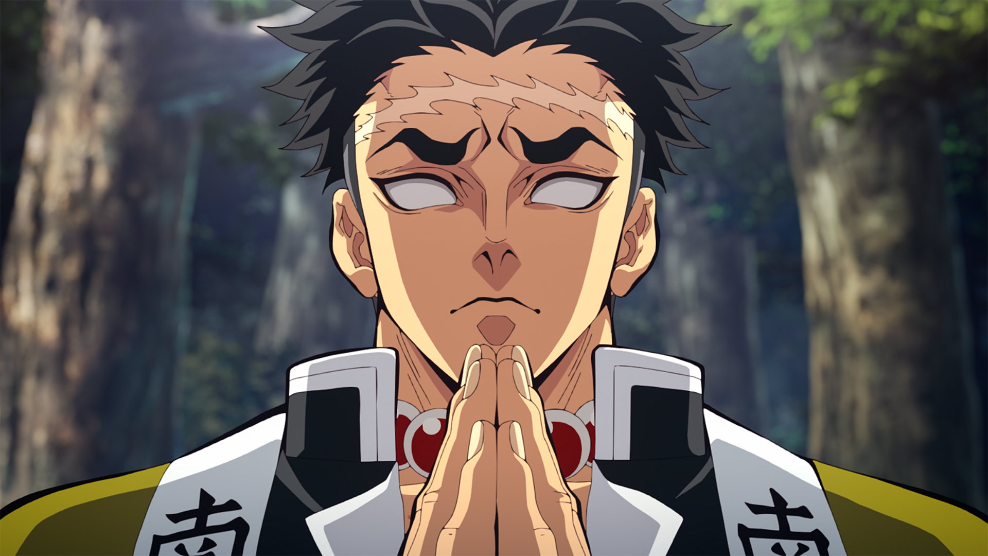 Stream The Strongest in the Demon Slayer Corps Season 1 Episode 6 – The ...