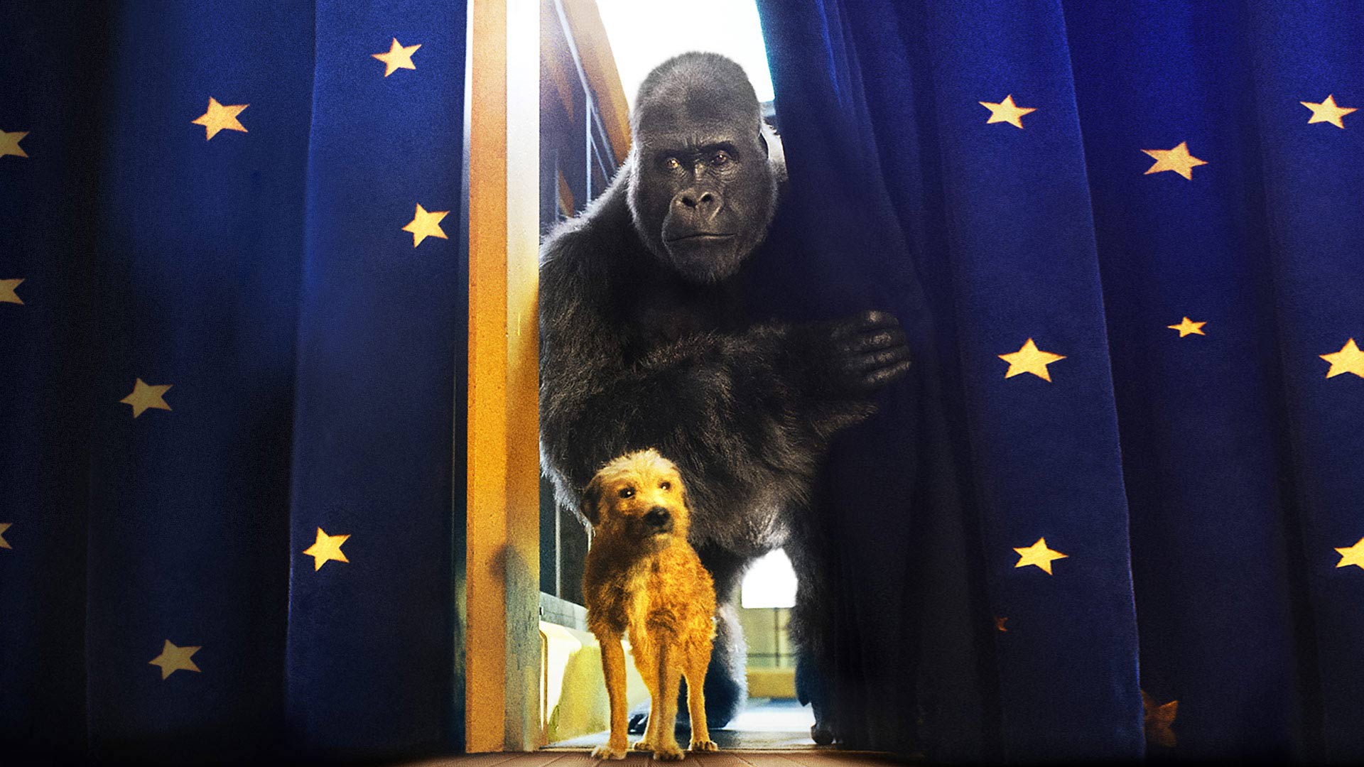 The One And Only Ivan Disney