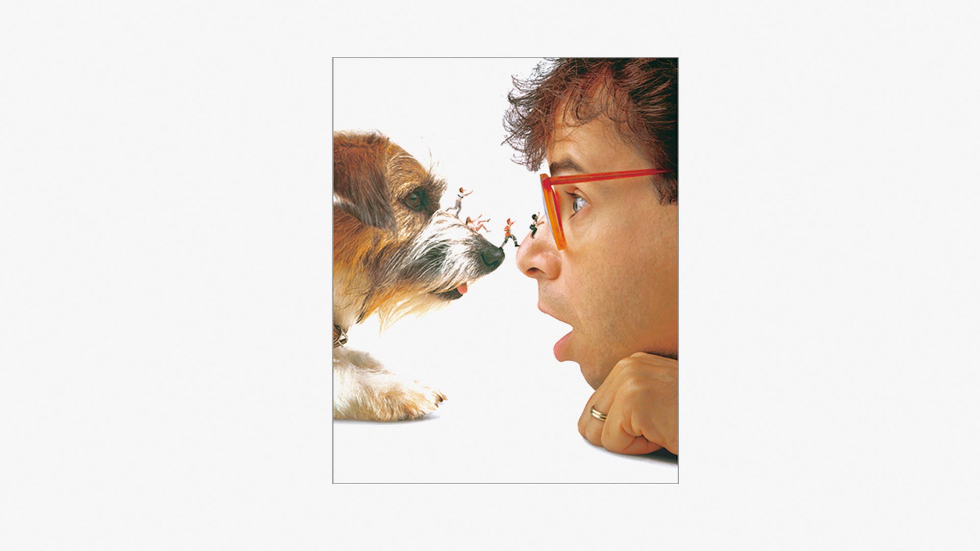 Honey, I Shrunk the Kids on Disney+ Egypt | English German Spanish ...