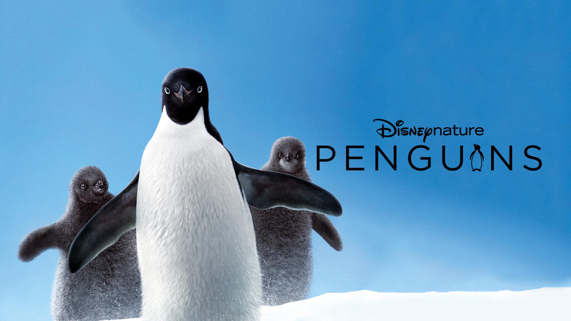Watch Movie Penguins Online only on Watcho,