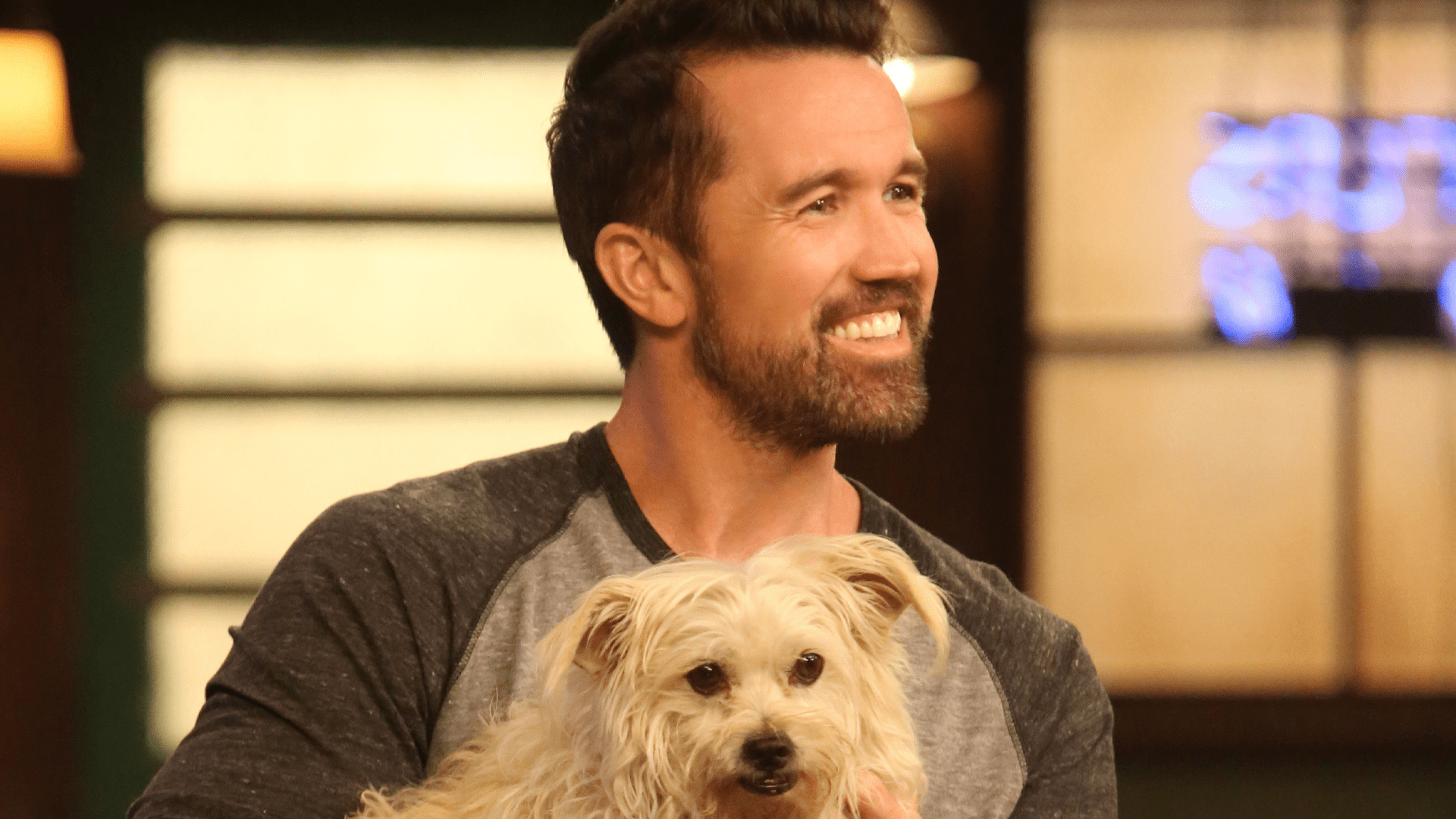 Watch It's Always Sunny in Philadelphia Episode 9 on Disney+ South ...