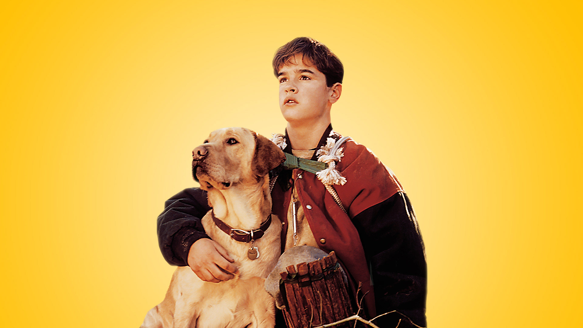 Watch Far from Home: The Adventures of Yellow Dog - Disney+