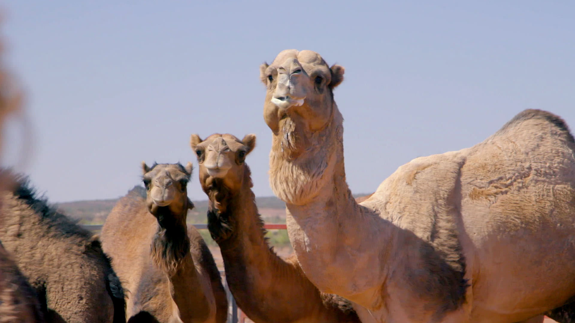 Watch Out There With Jack Randall S1 Episode 6 on JioHotstar