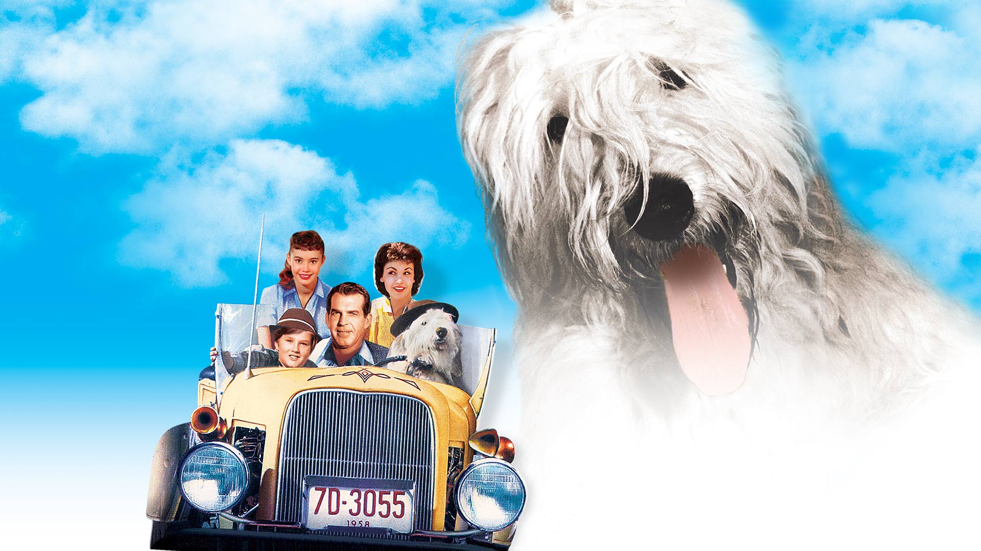 Watch The Shaggy Dog - Disney+ Hotstar