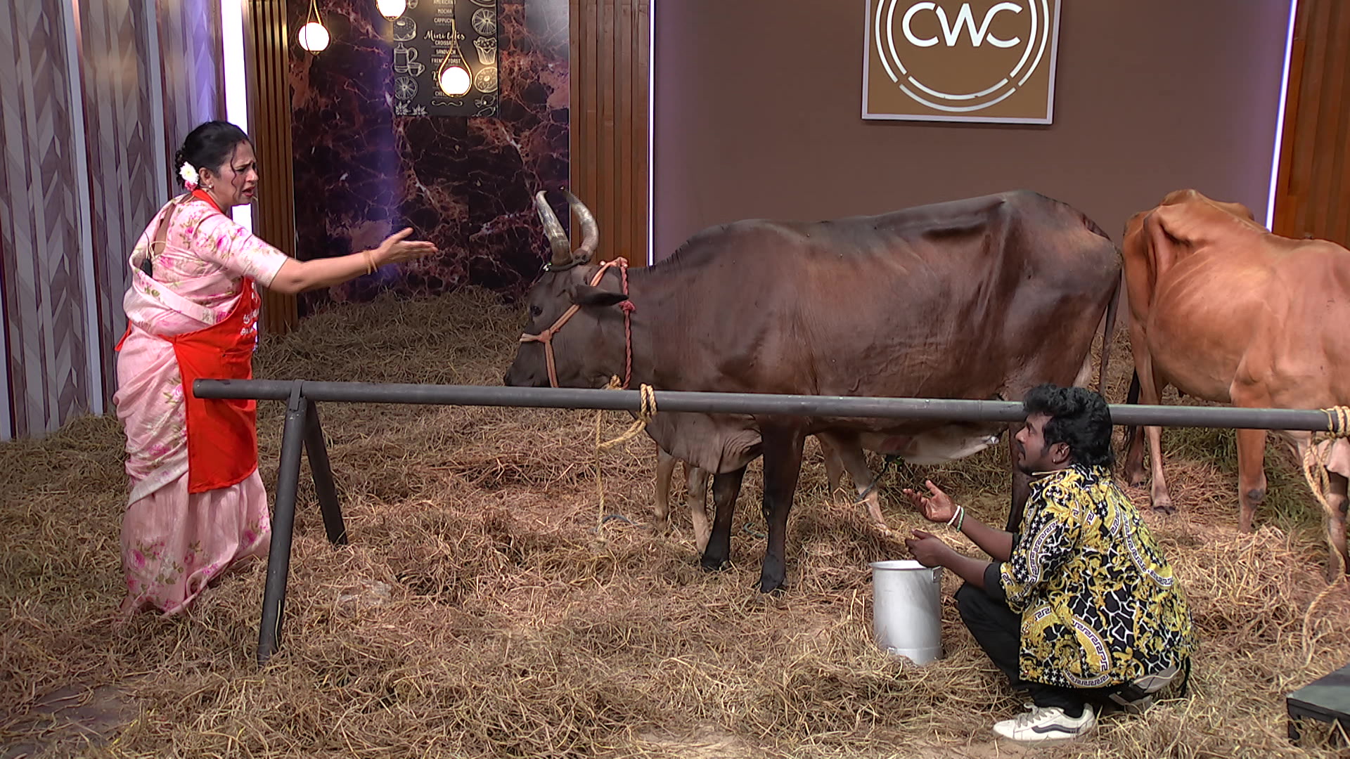 Stream Dairy Week Gets Exciting Season 6 Episode 20 – Dairy Week Gets ...