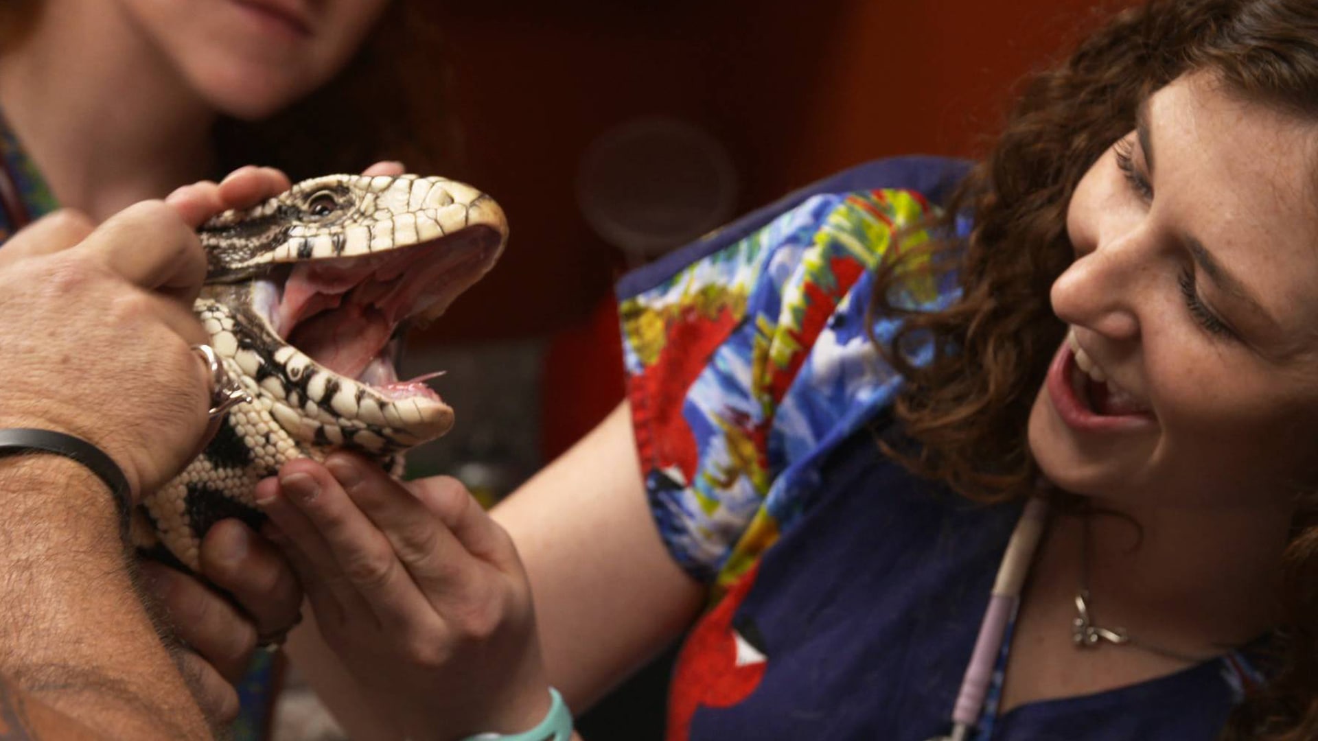 Watch Dr. K's Exotic Animal ER Episode 5 on Disney+ South Africa ...