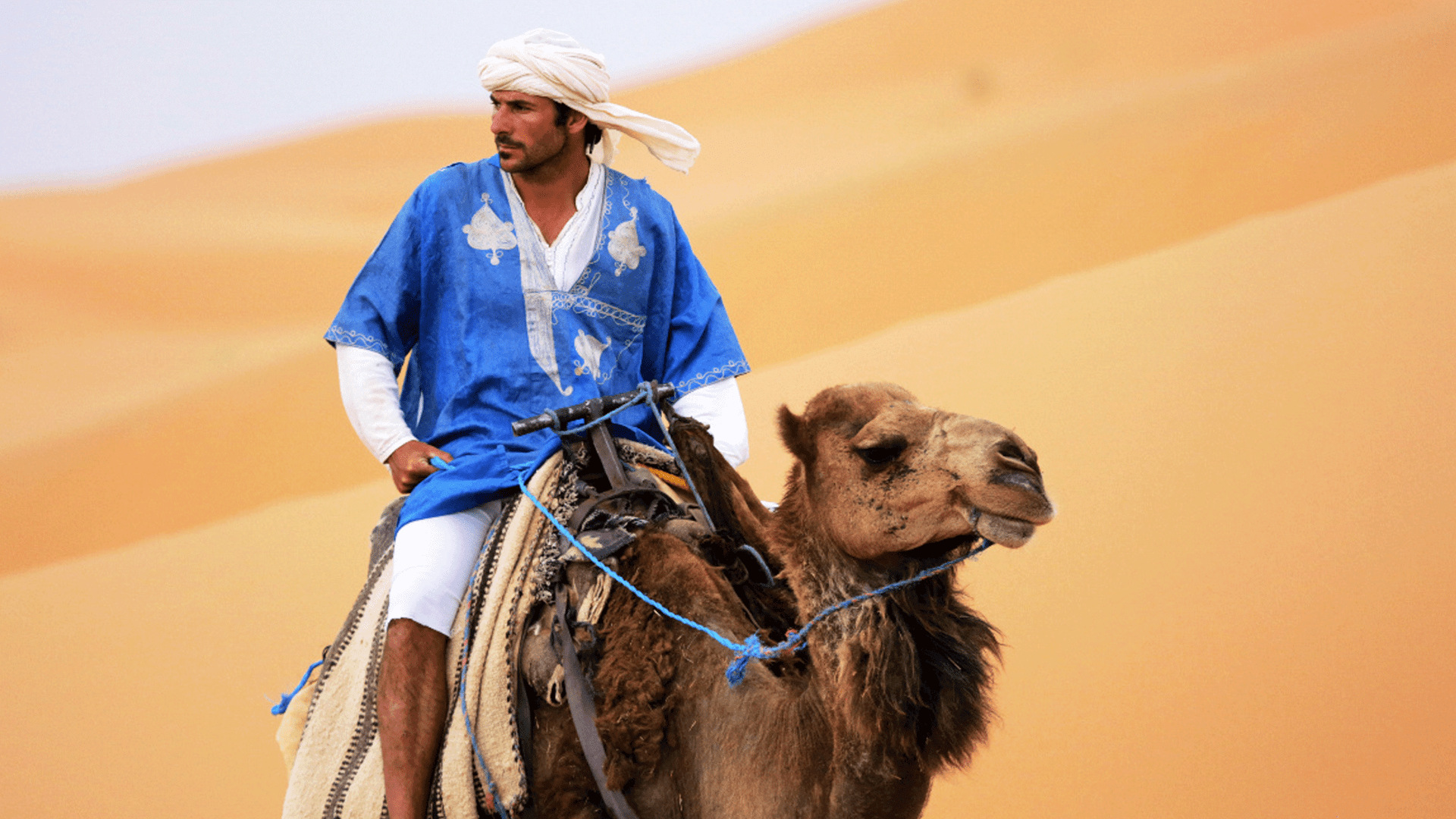 Watch Primal Survivor S2 Episode 7 on Disney+