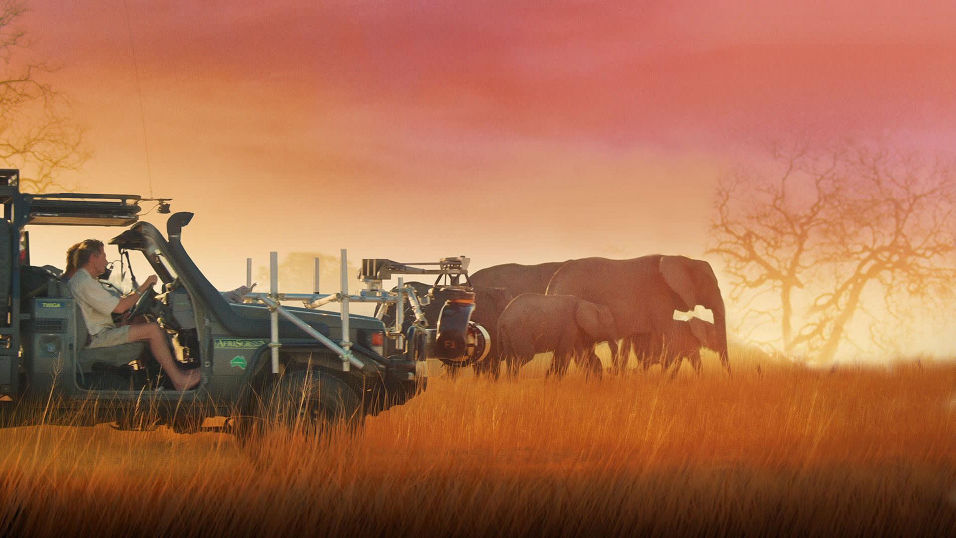 In the Footsteps of Elephant - Disney+