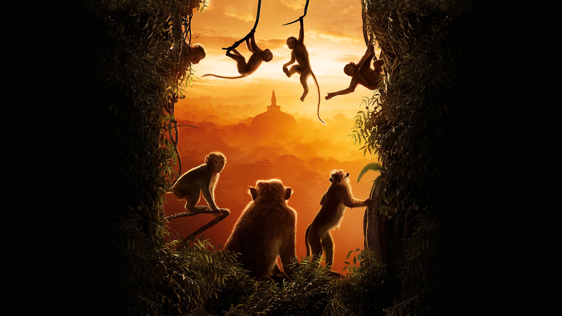 Monkey Kingdom on Disney+ Qatar | English Spanish (Latin America ...