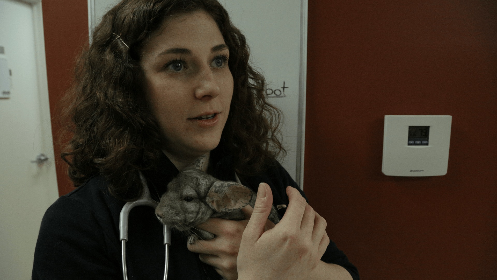 Watch Dr. K's Exotic Animal ER Episode 2 on Disney+ South Africa ...