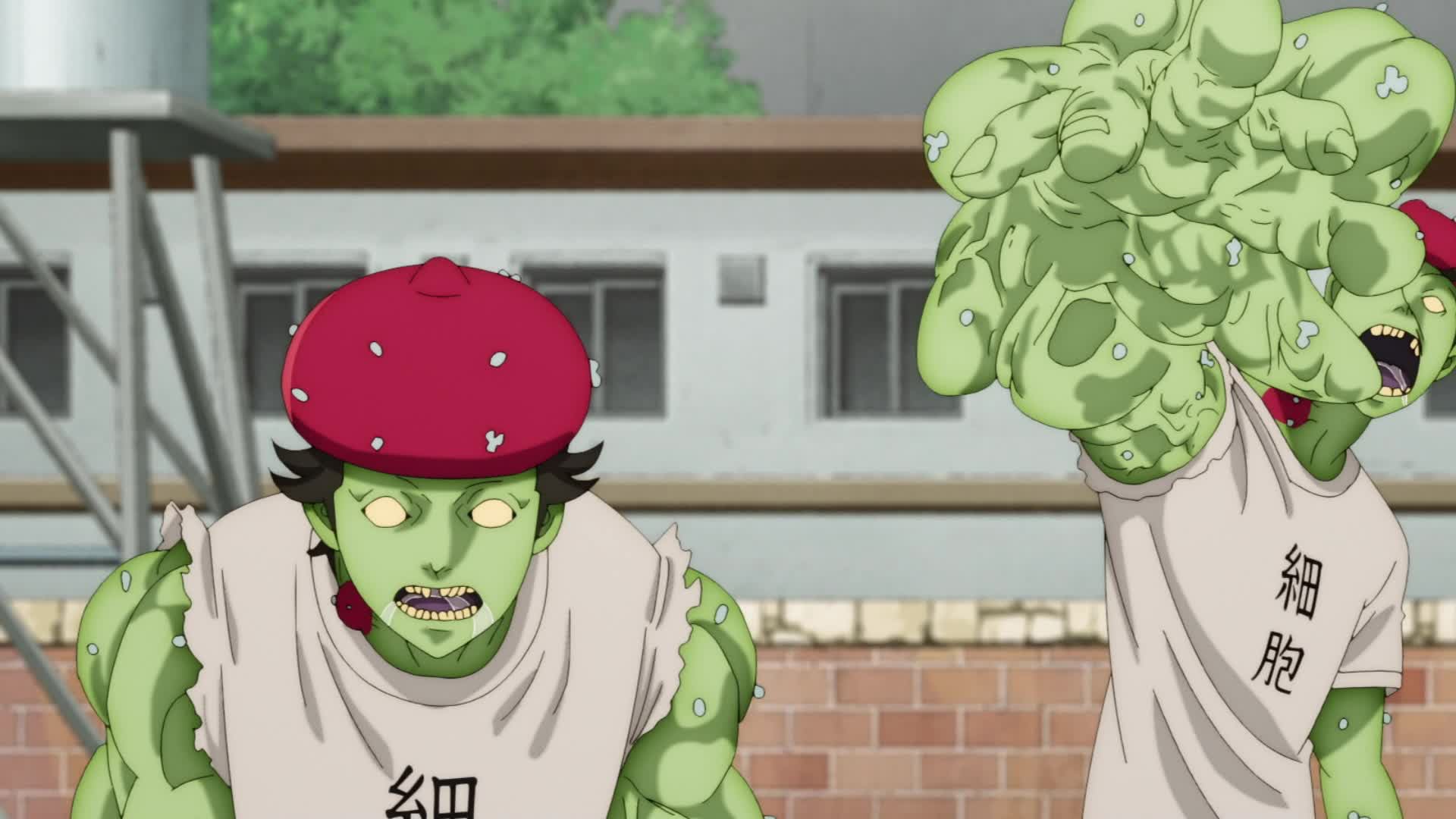Watch Cells At Work! S2 Episode 5 on JioHotstar