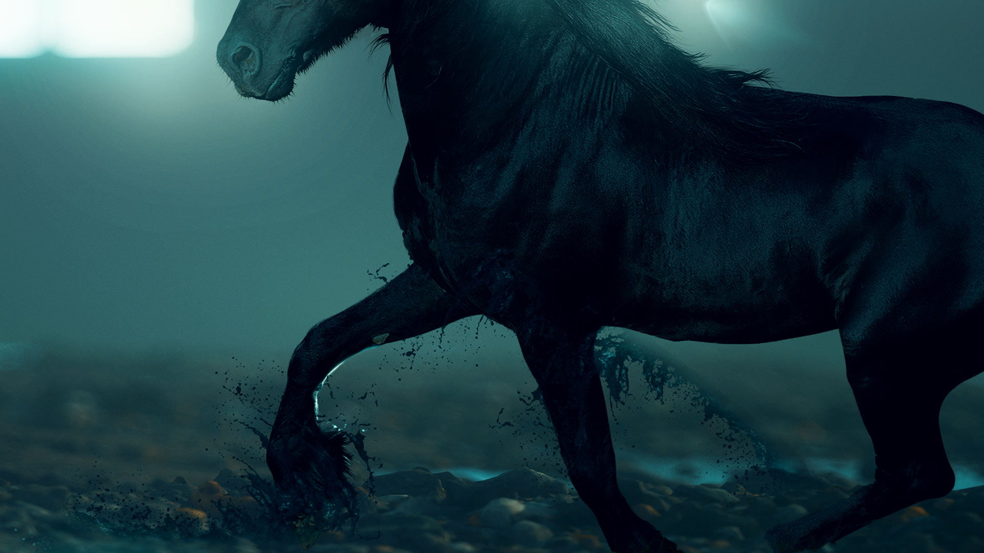 Animal Fight Club - Disney+