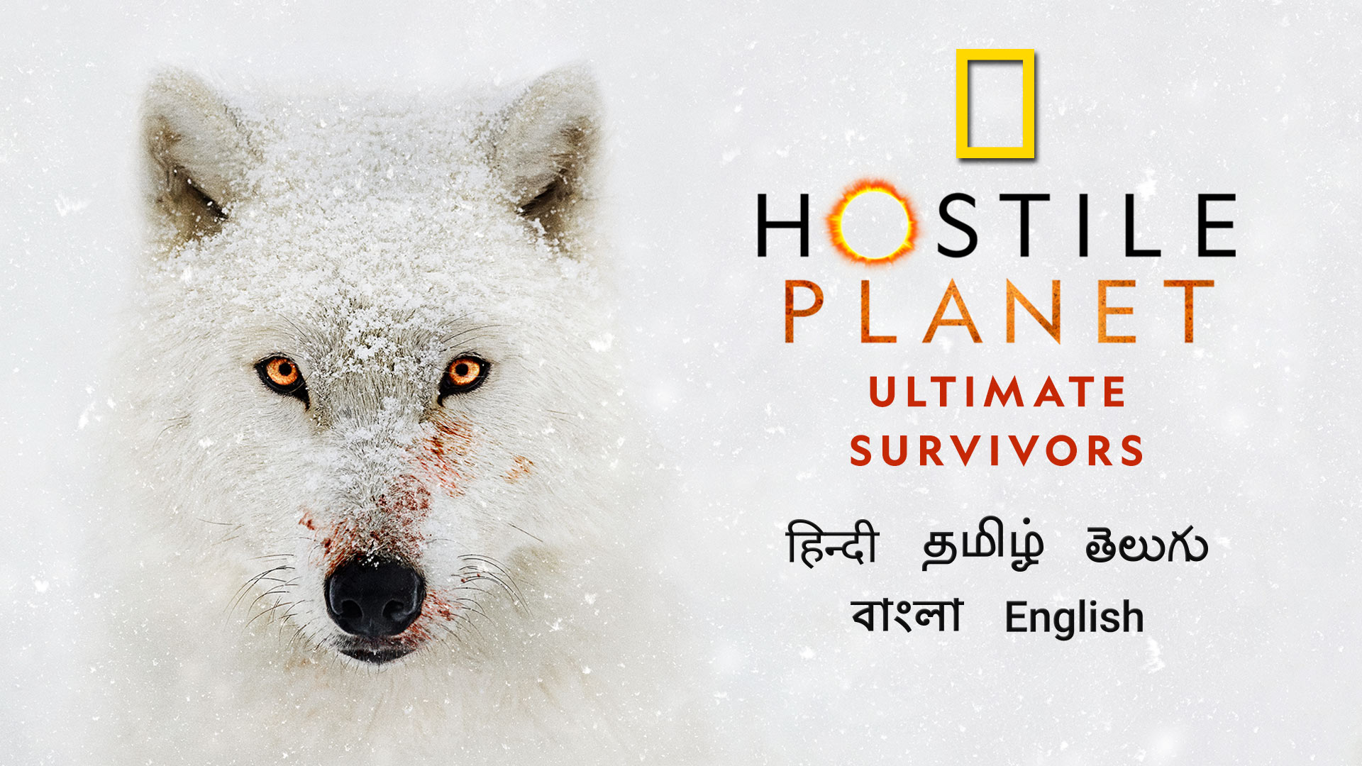 Watch Movie Hostile Planet: Ultimate Survivors Online only on Watcho,