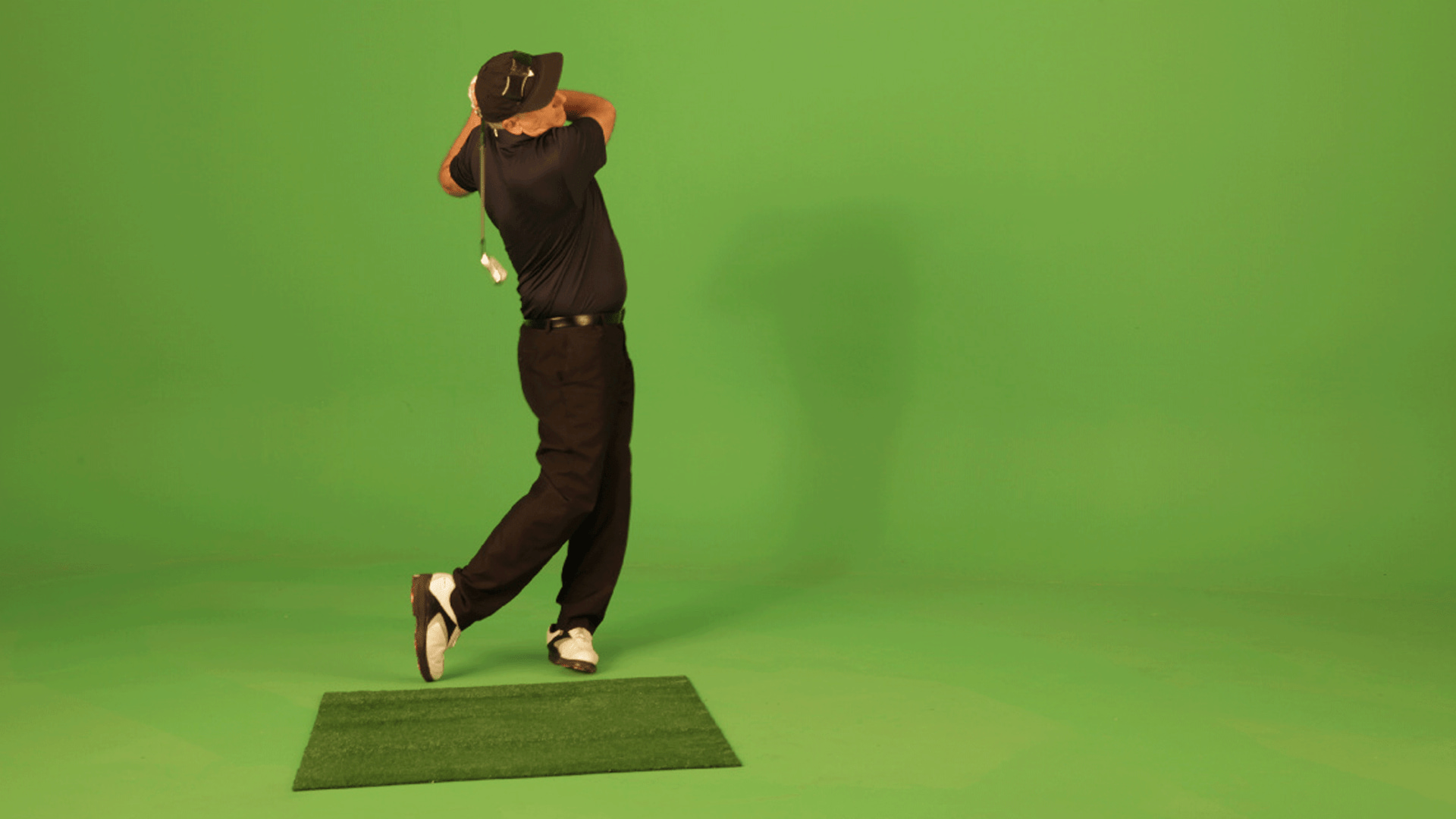 Science of Stupid - Disney+