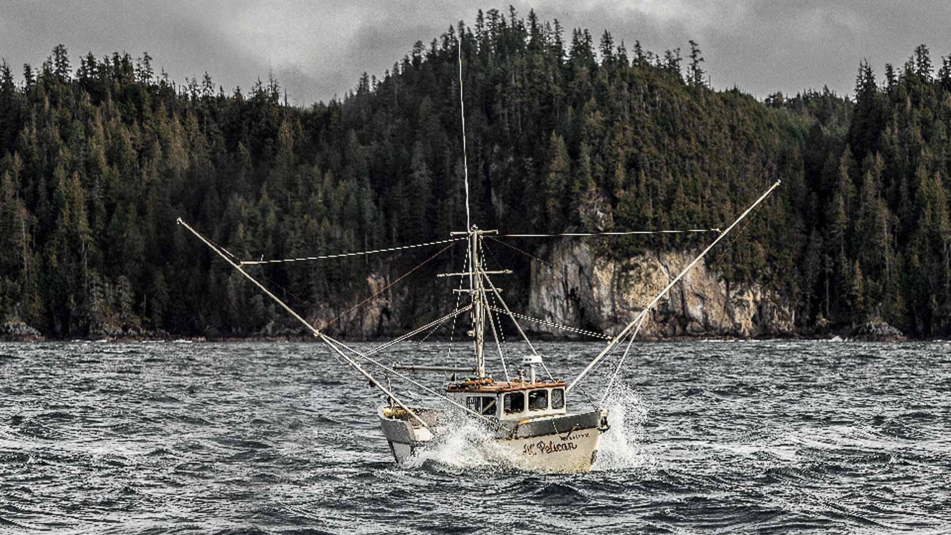 Port Protection Alaska, Reality TV Series - Nonton Semua Episode ...