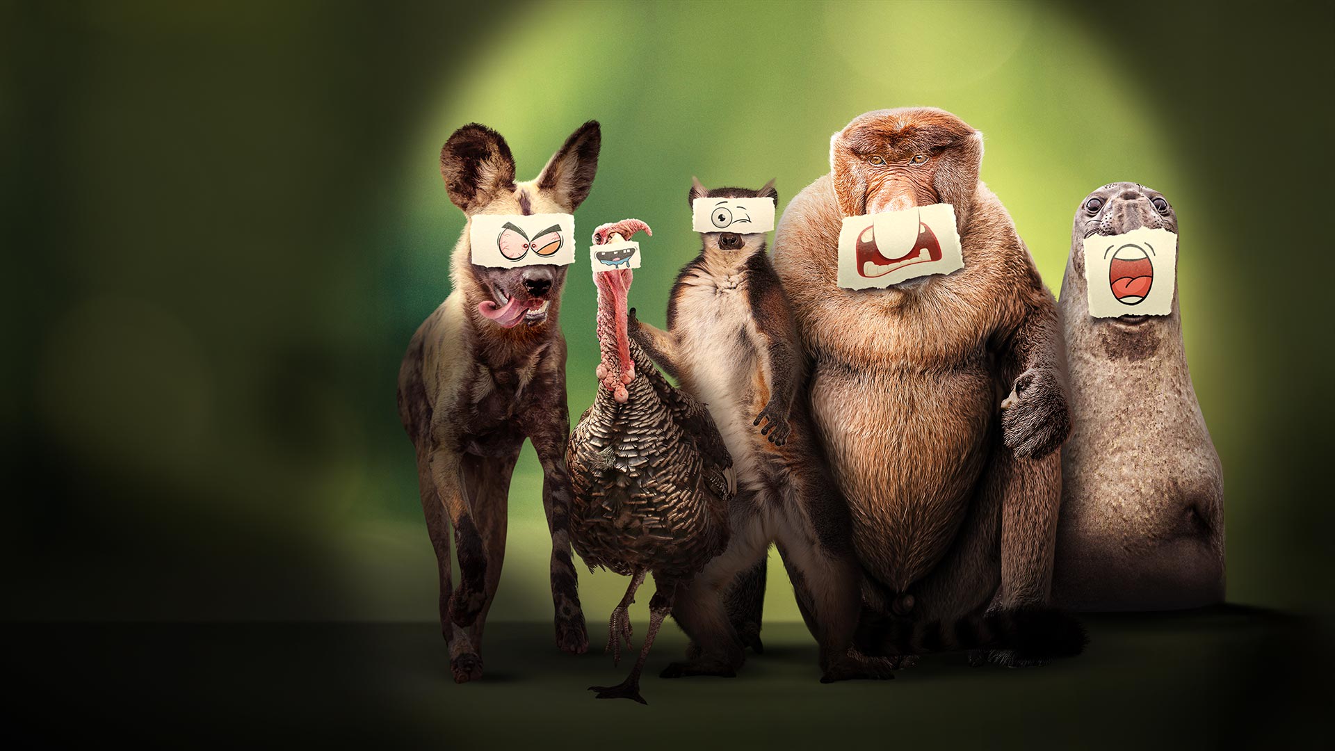 ซีรีส์ Underdogs Documentary รับชมได้เลยบน Disney+