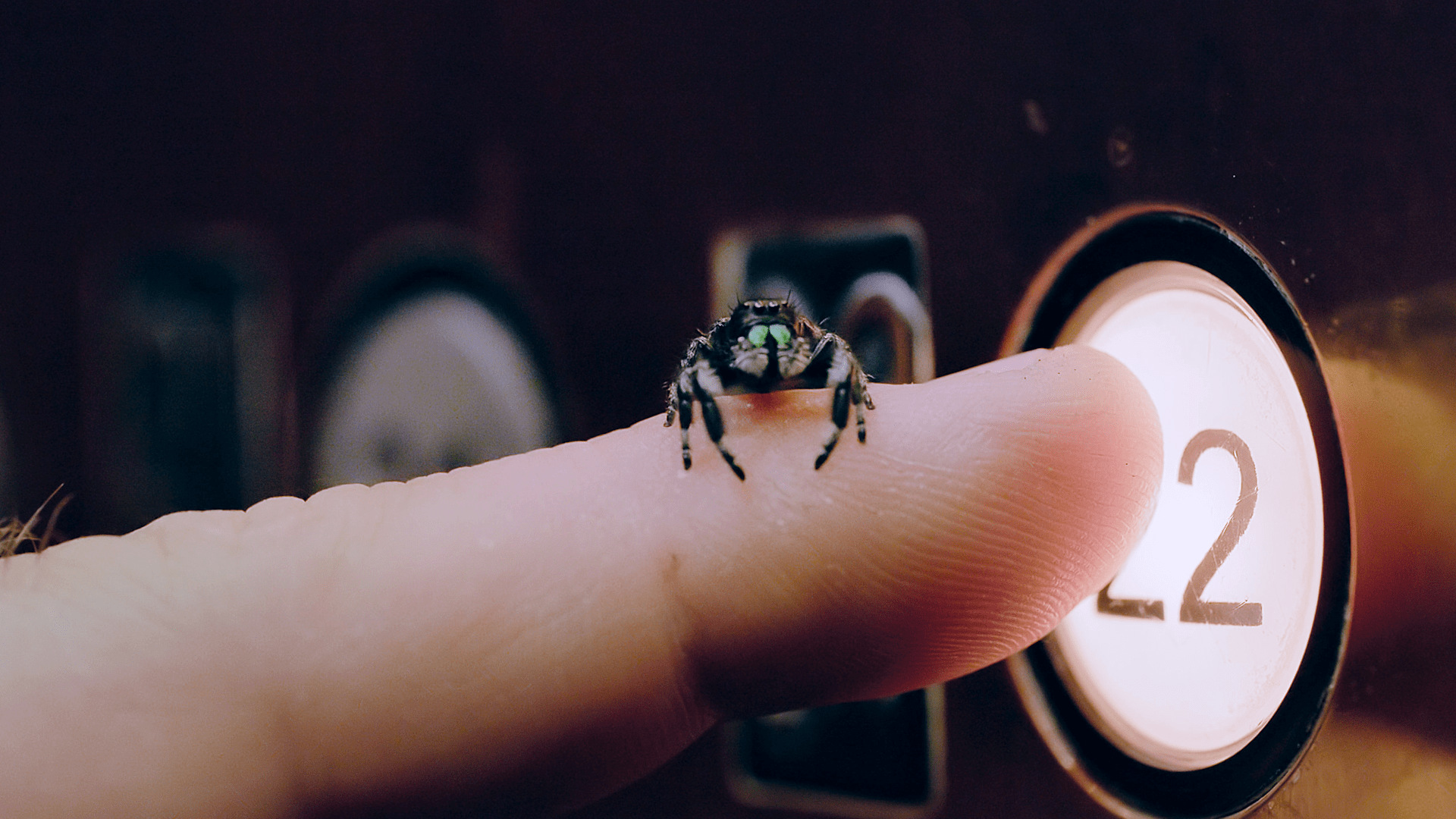 Watch A Real Bug's Life Episode 5 on Disney+