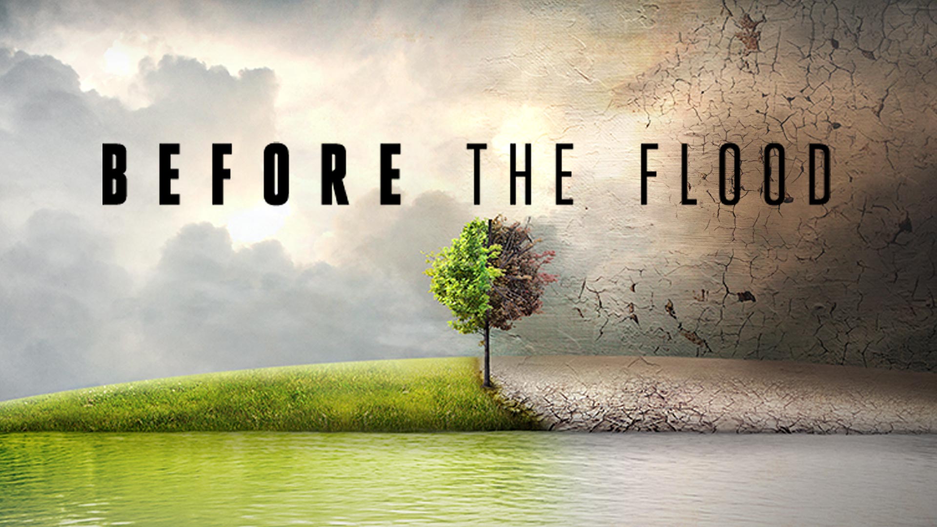 Watch a clip from Before the Flood - Trailer on Disney+ Hotstar