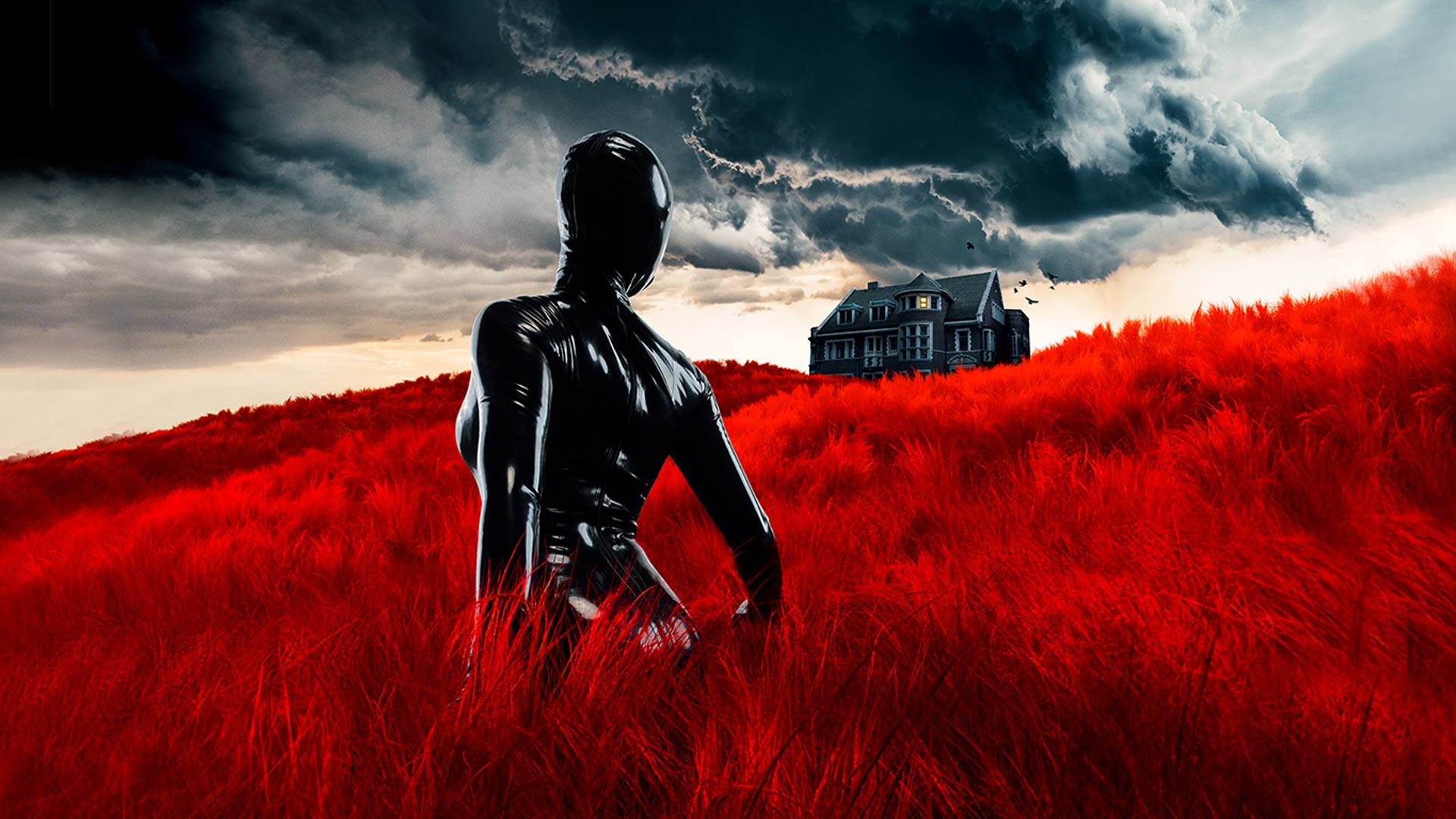 American Horror Stories on Disney+ UAE | English Horror Anthology SHOW