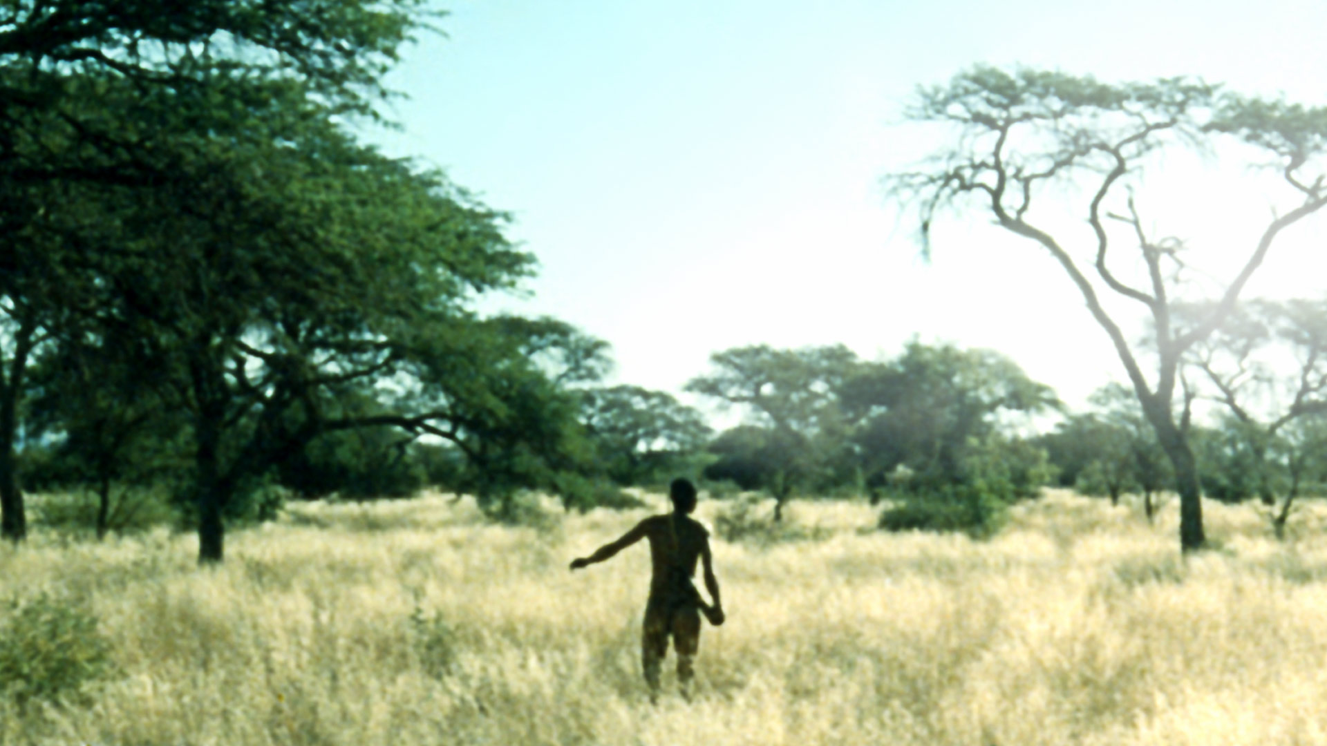 The Gods Must Be Crazy II on Disney+ United Arab Emirates | English ...