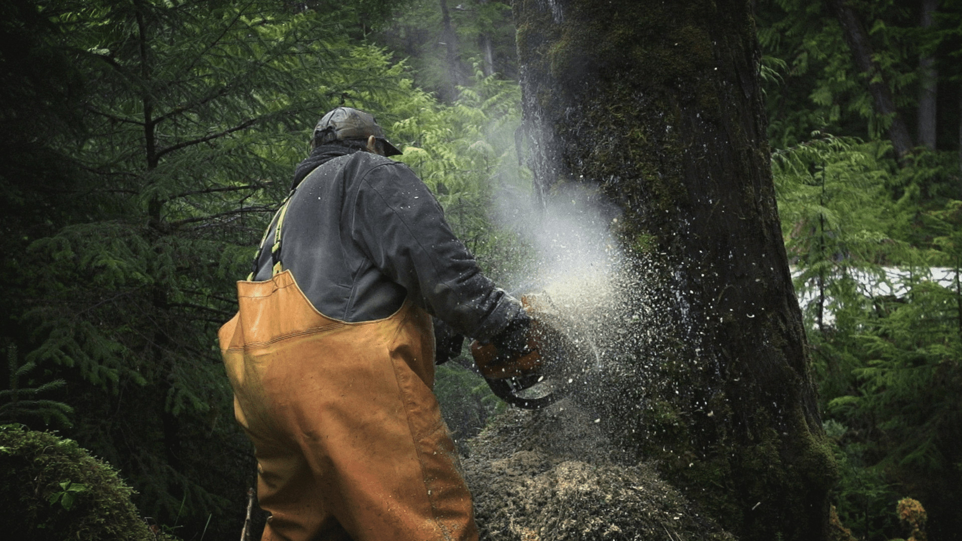 Watch Port Protection Alaska S1 Episode 6 on Disney+ South Africa ...