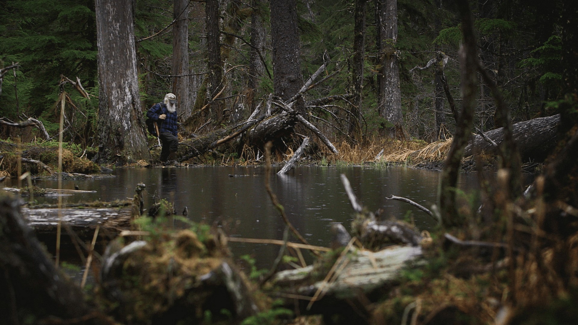 Watch Port Protection Alaska Episode 4 on Disney+ South Africa ...