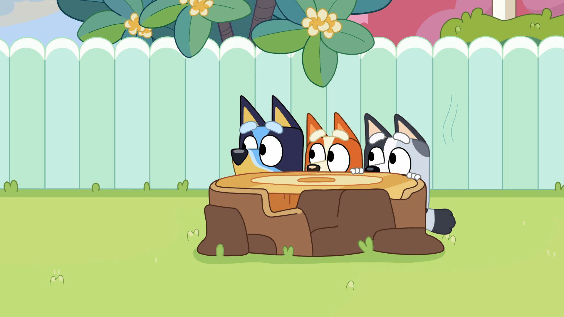 Watch Bluey S2 Episode 15 on Disney+ South Africa | English Animation ...