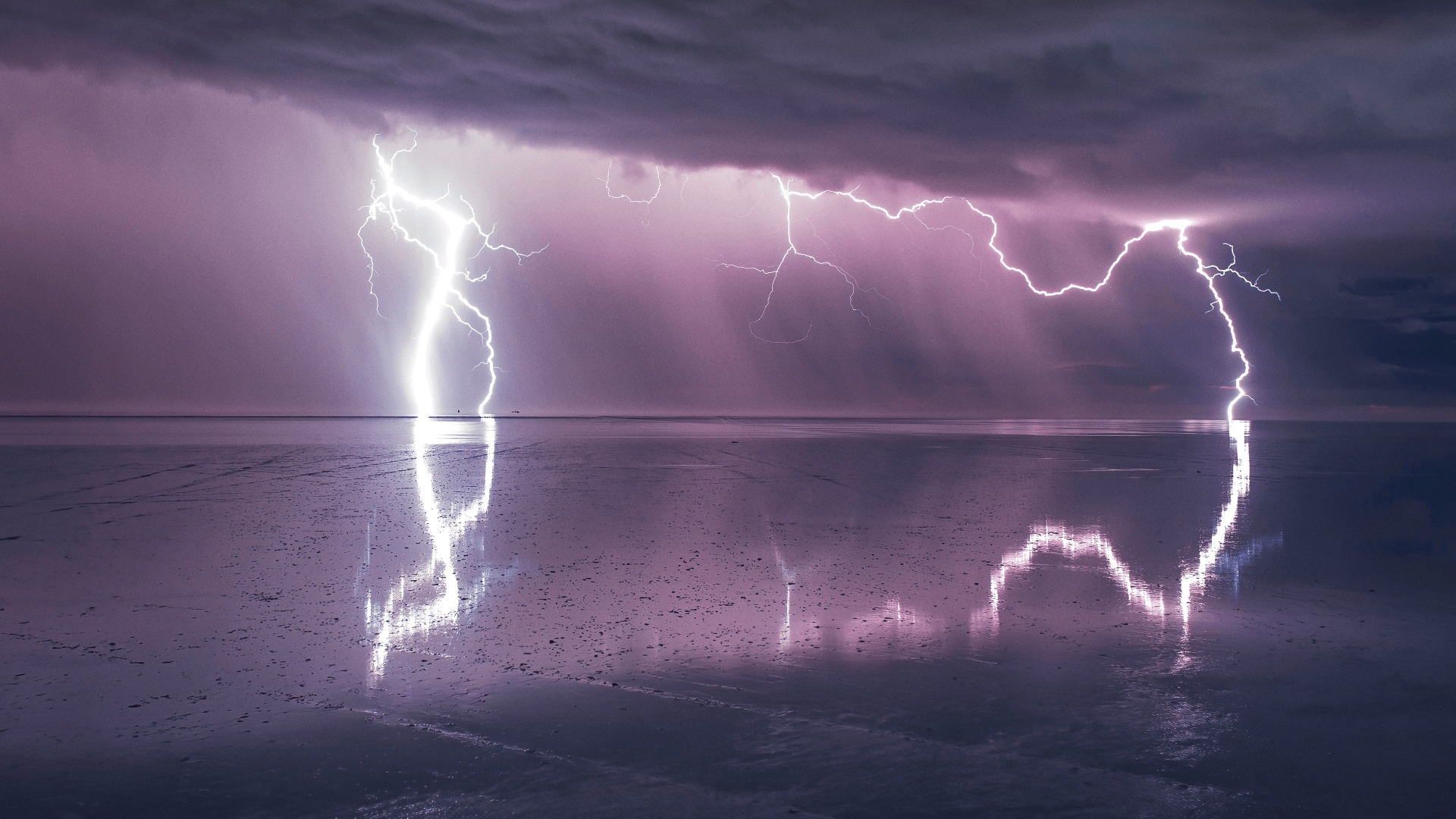 Welcome to Earth - Disney+