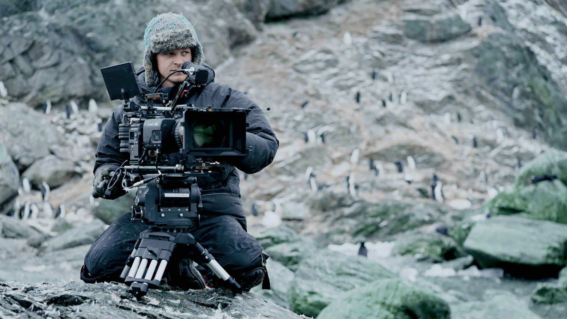 Watch Epic Adventures with Bertie Gregory Episode 1 on Disney+ South ...