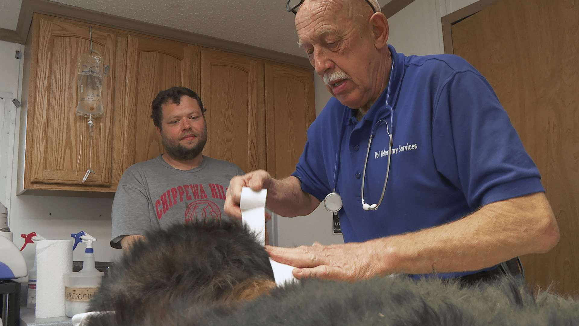 Watch The Incredible Dr. Pol S2 Episode 5 on Disney+ Hotstar