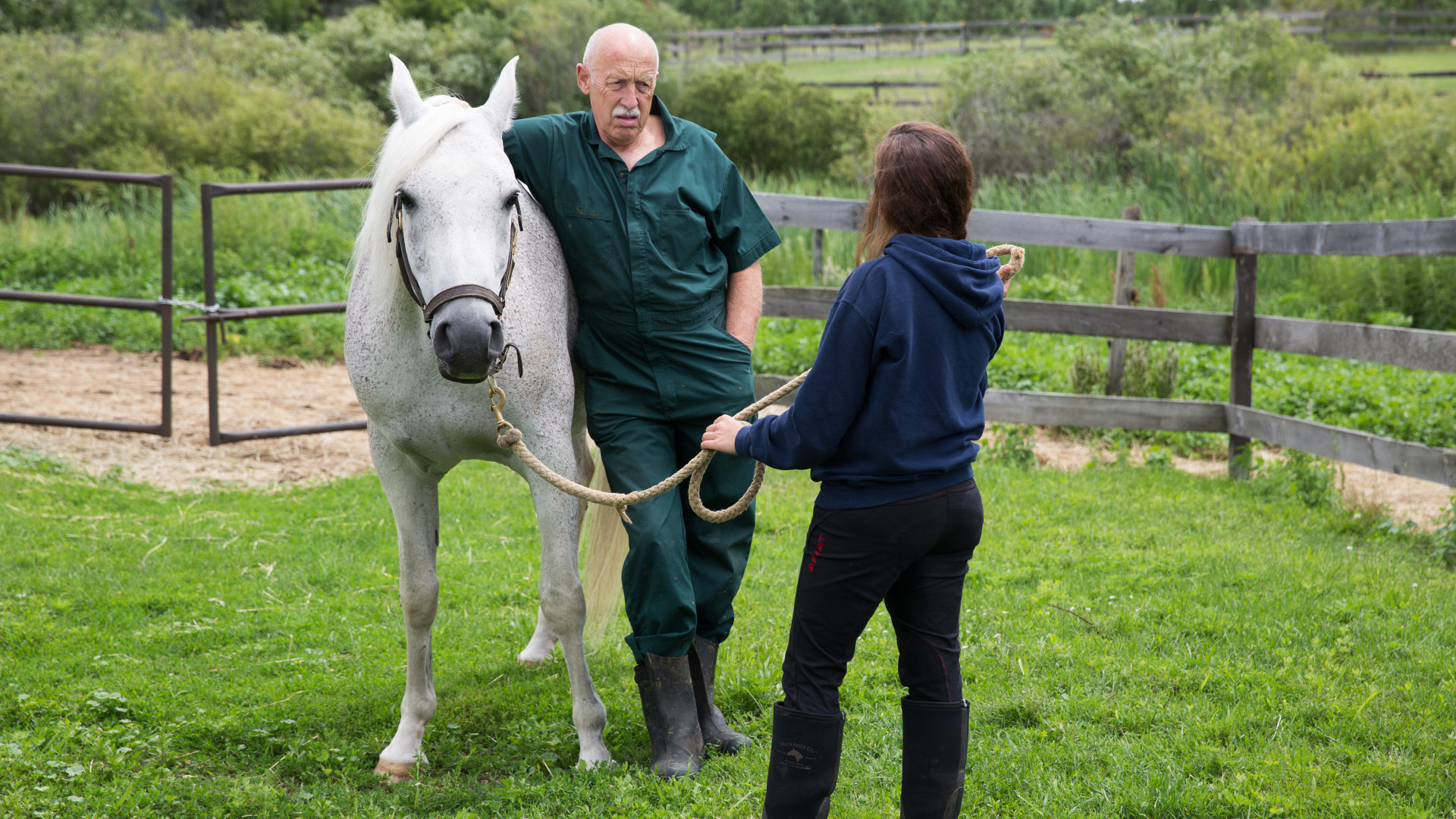 Watch The Incredible Dr. Pol S7 Episode 4 on Disney+ South Africa ...