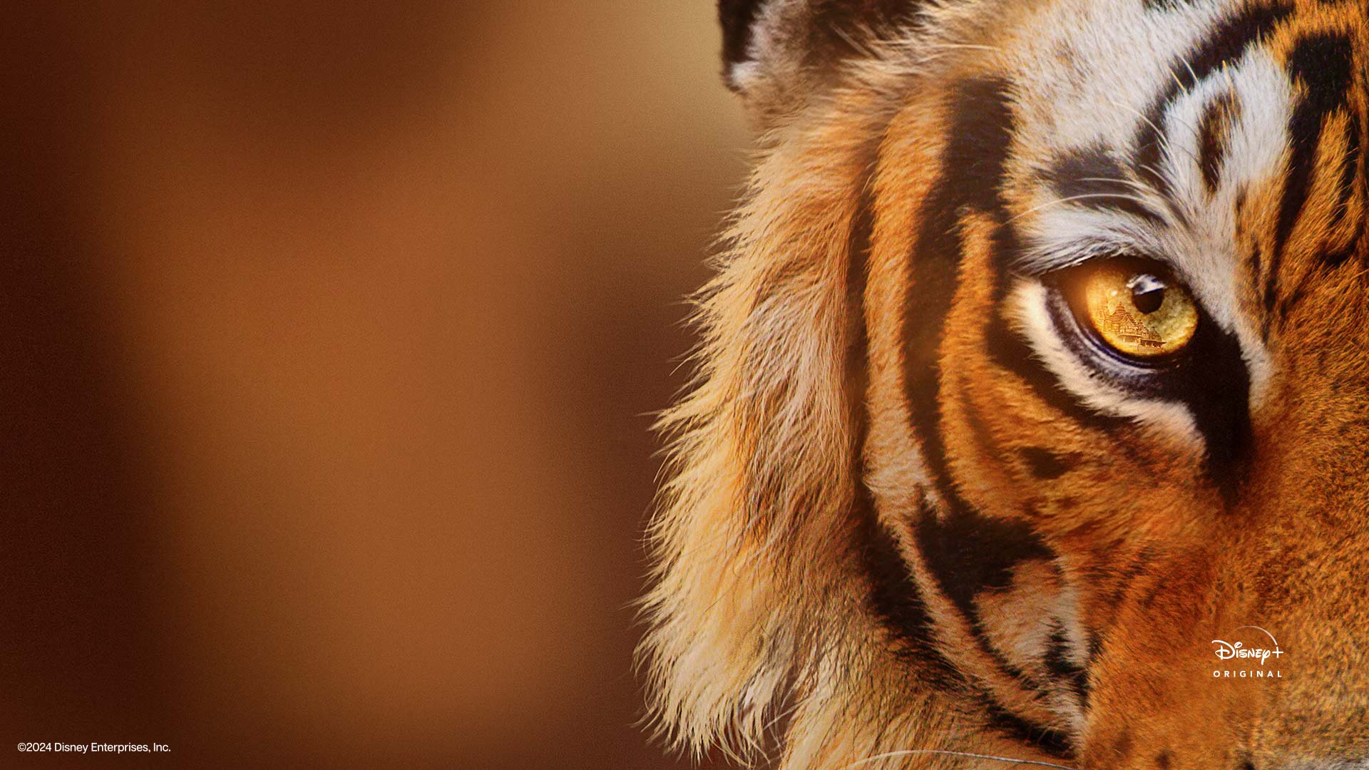 Tigers on the Rise full movie. Documentary film di Disney+.