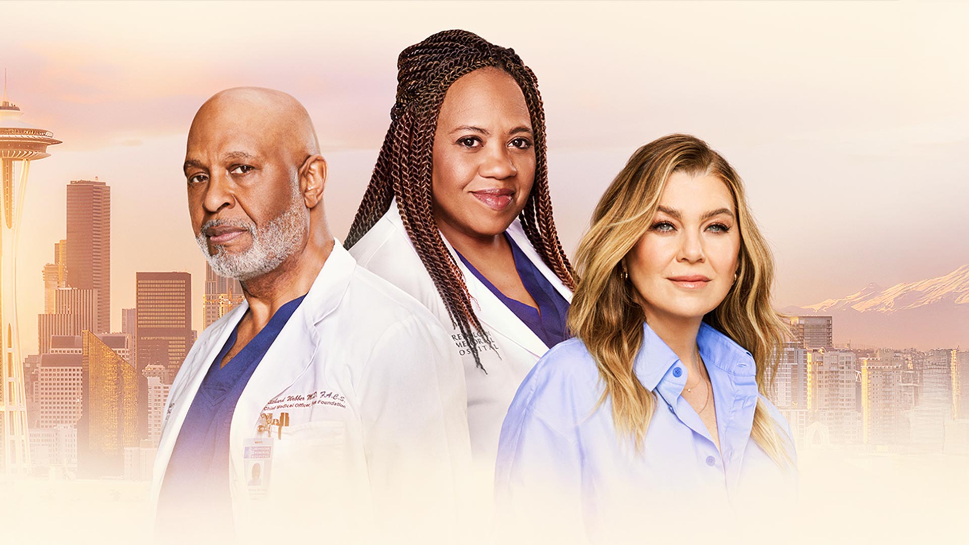 Watch Grey's Anatomy Online only on Disney+ eg