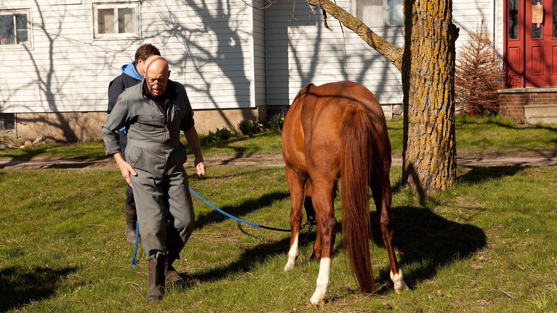 Watch The Incredible Dr. Pol S12 Episode 1 on Disney+