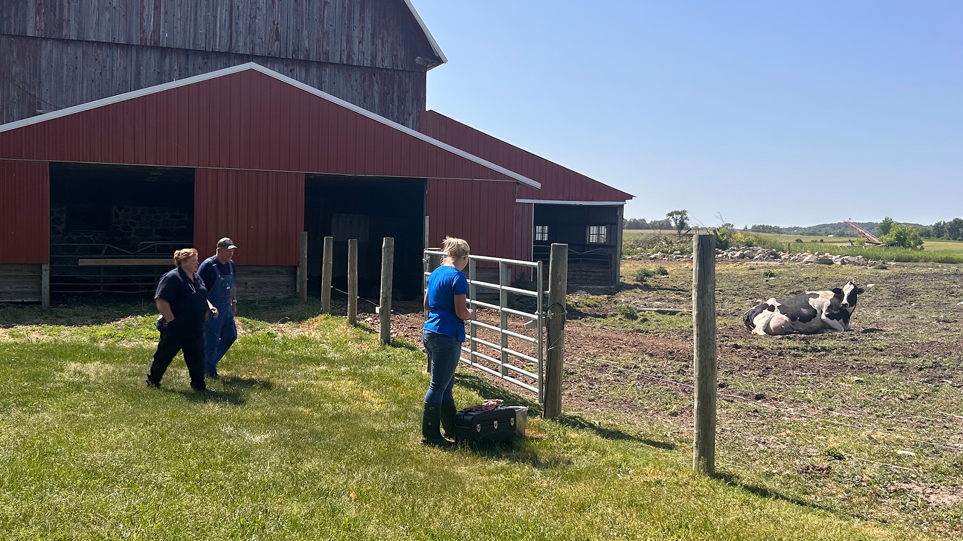 Watch The Incredible Dr. Pol S24 Episode 2 on Disney+