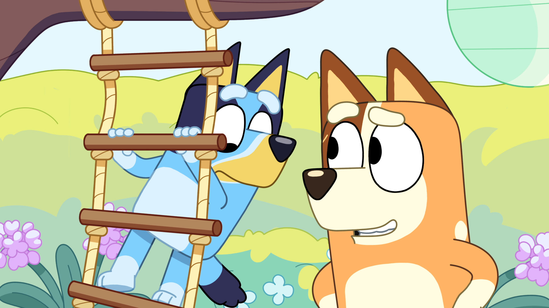 Watch bluey only on Watcho