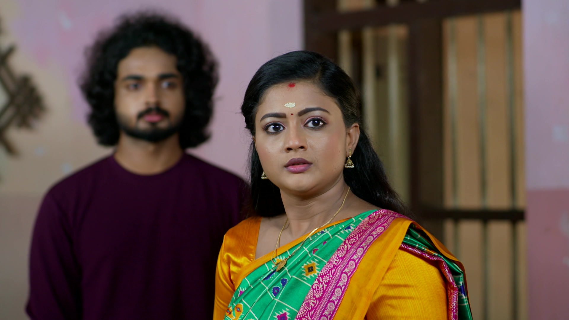 Stream Revathy in a Predicament Season 1 Episode 95 – Revathy in a ...