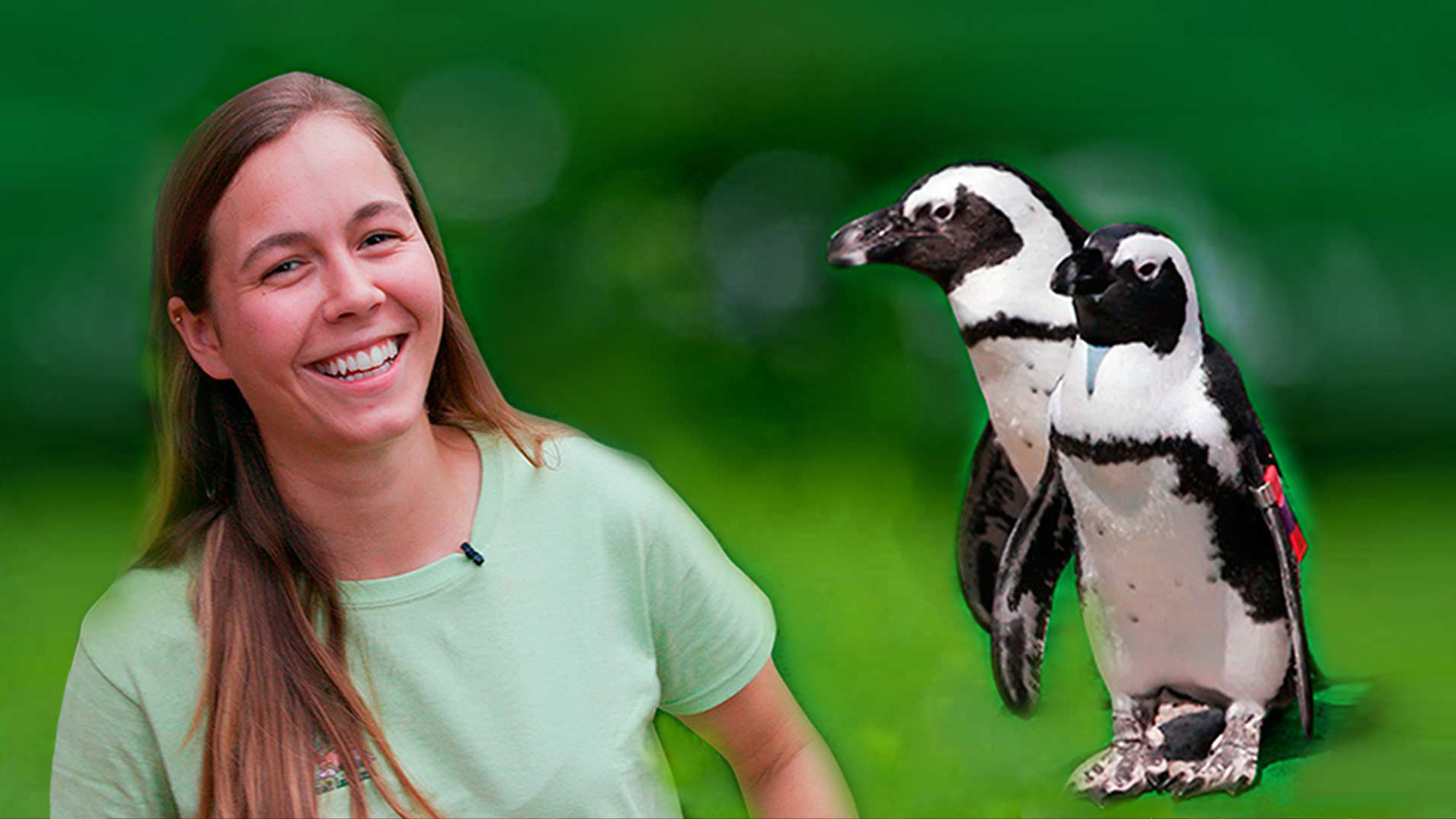 Sam's Zookeeper Challenge Family Animals & Nature Series, now streaming ...