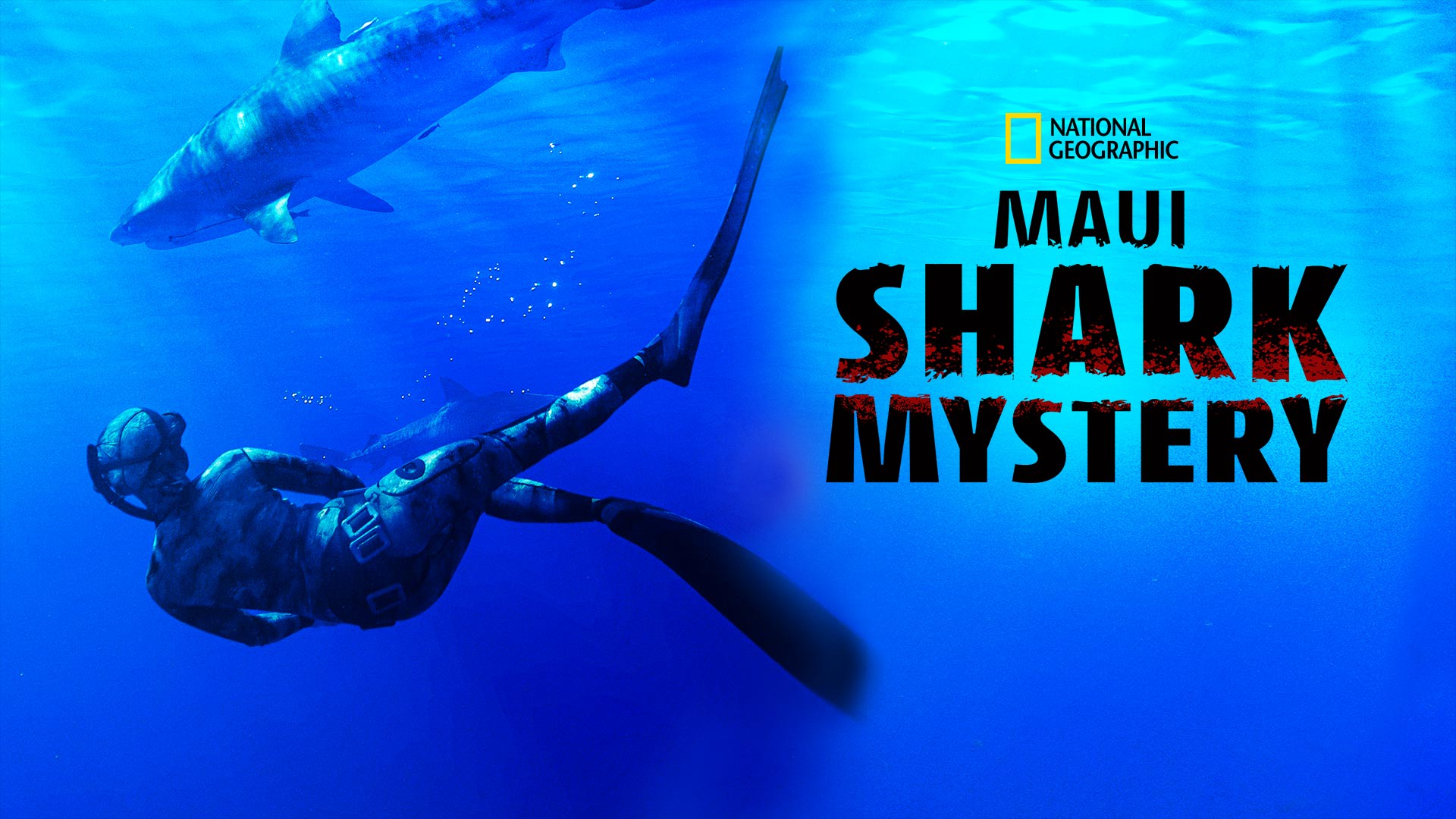 Watch a clip from Maui Shark Mystery - Trailer on Disney+ Hotstar Watch a clip from Maui Shark Mystery - Trailer on Disney+ Hotstar